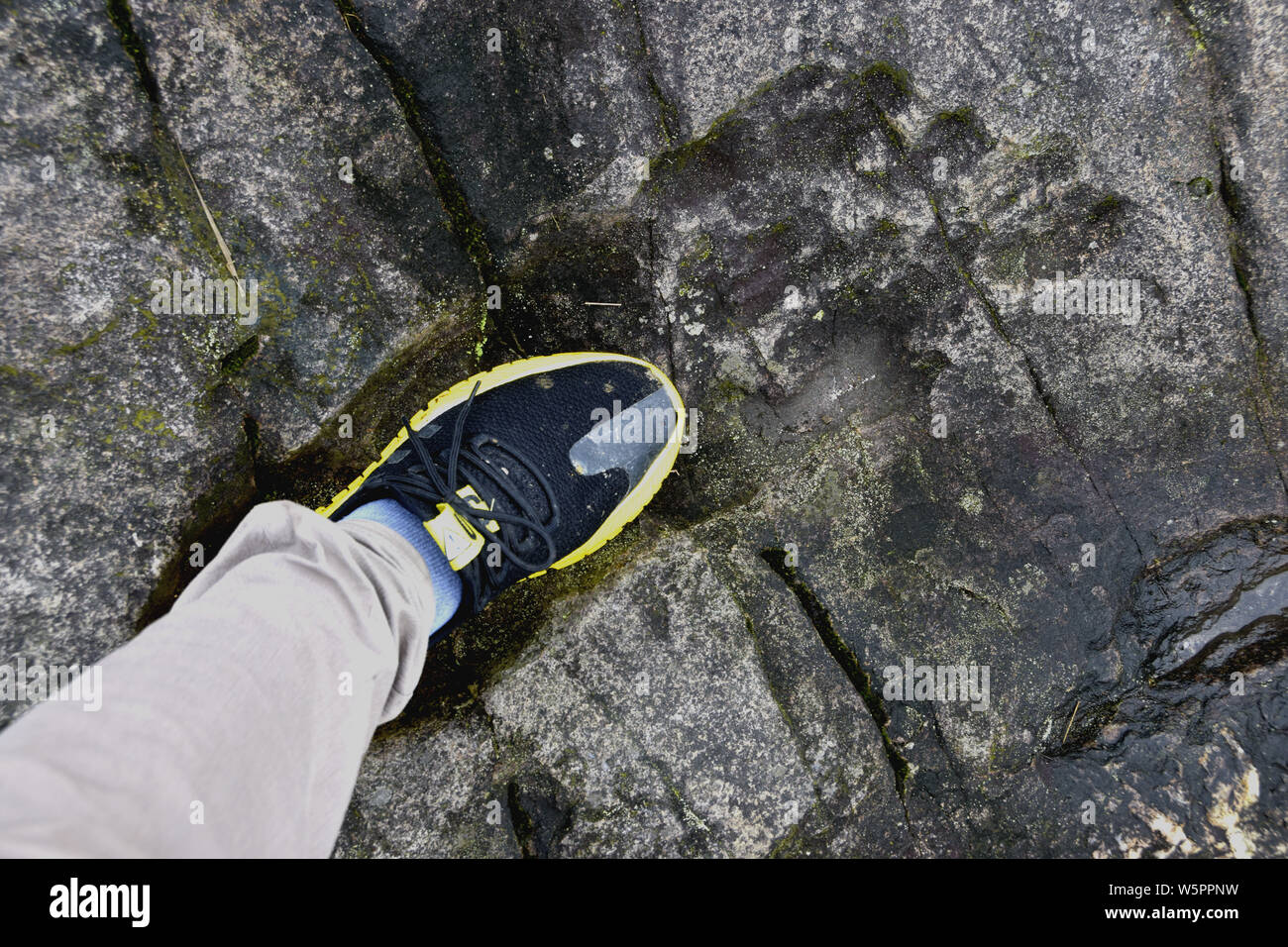 The giant fossilized human footprint is seen in a rock in Congjiang ...