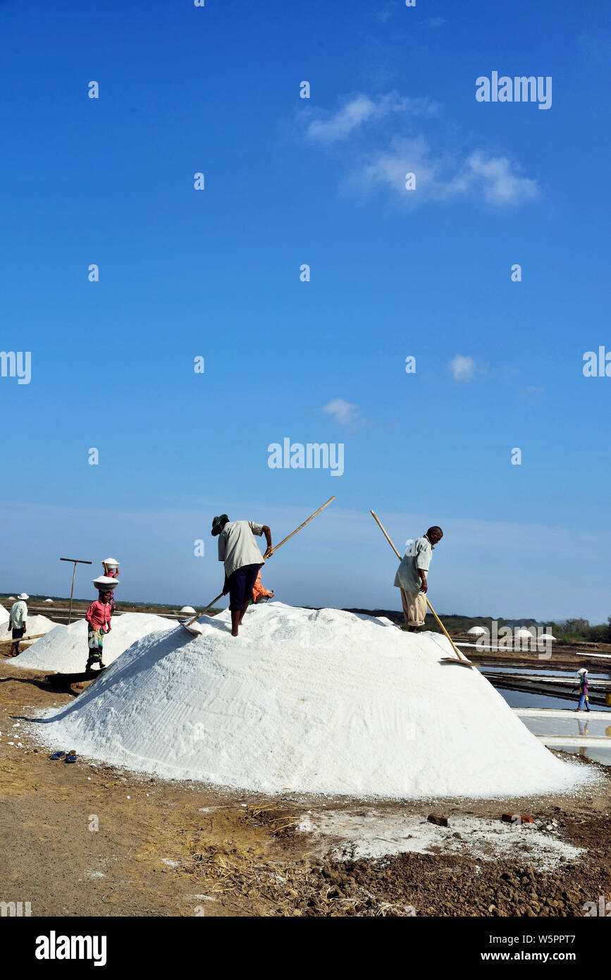 Salt pans india hi-res stock photography and images - Alamy