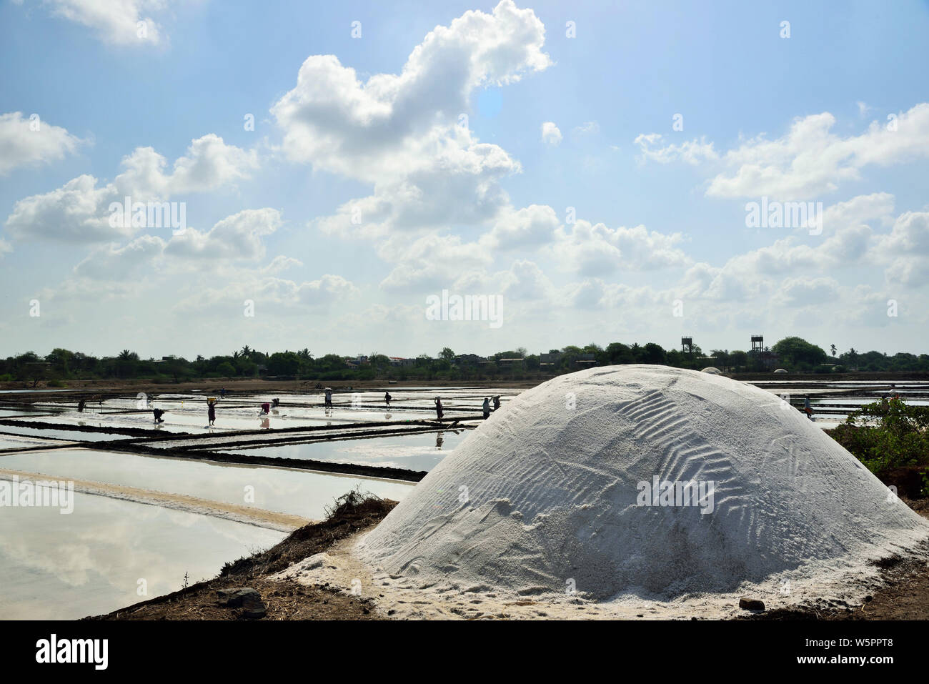 Salt pans india hi-res stock photography and images - Alamy