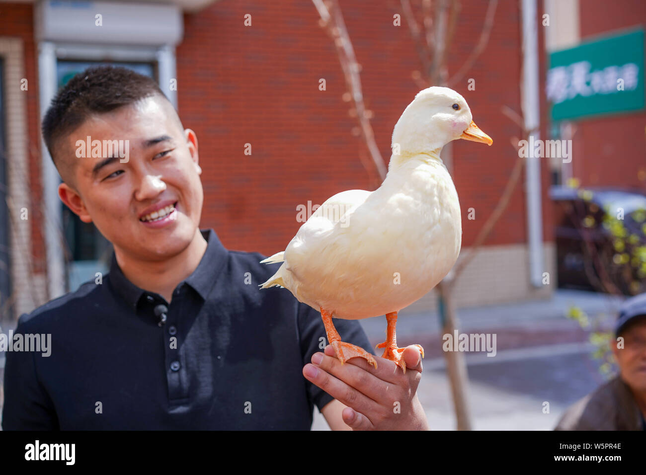 Chinese man Laojiu walks with his pet duck "Dumpling" in northeast ...