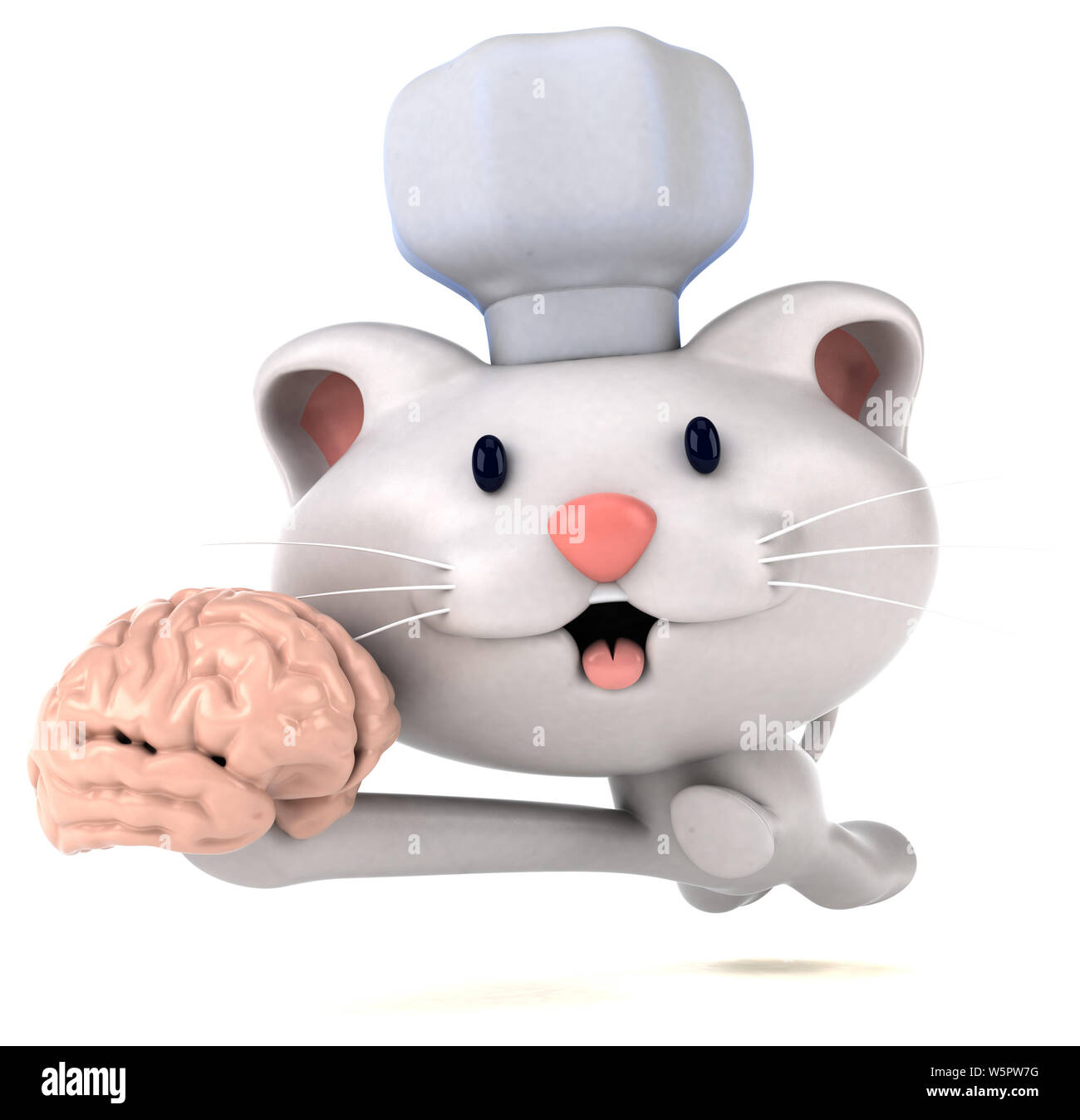 How Cats Are Big Brains