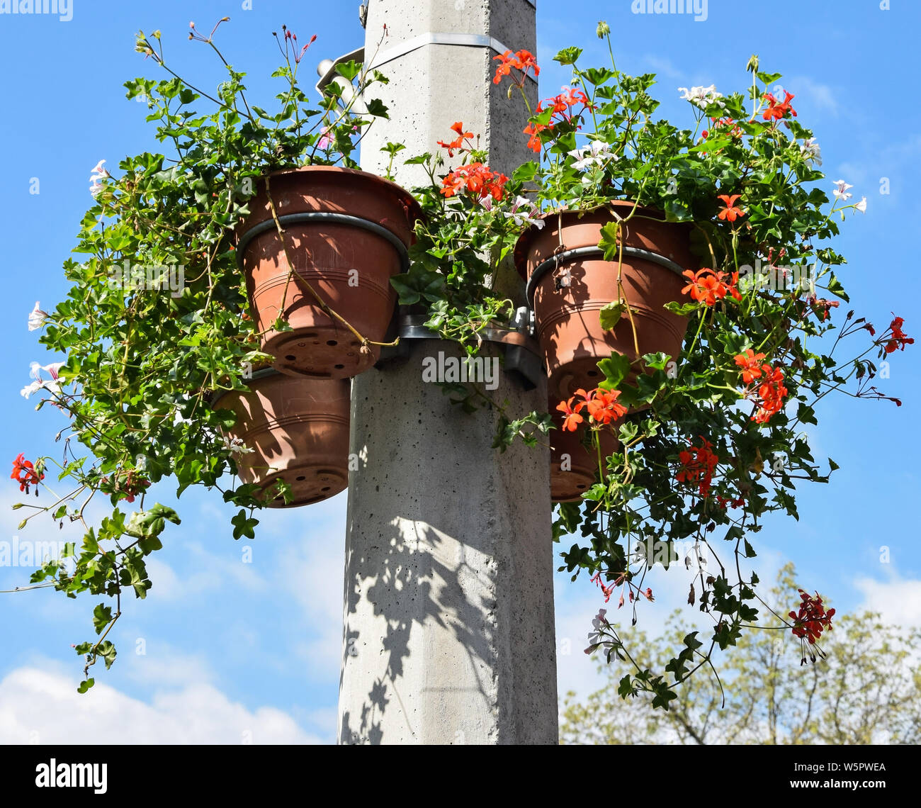 Flowers in pots on a high pole Stock Photo - Alamy