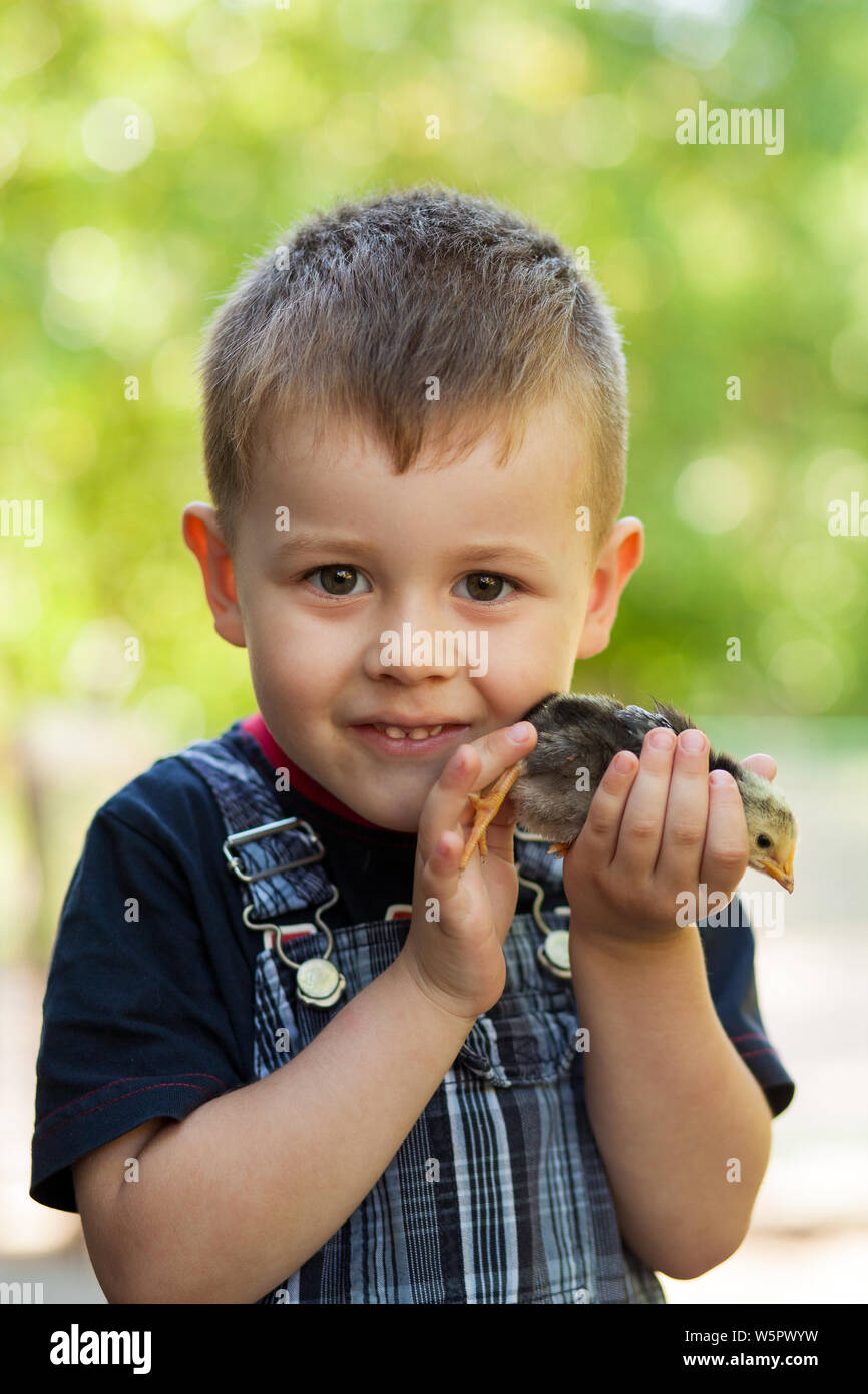 Kid boy farm chicken High Resolution Stock Photography and Images - Alamy