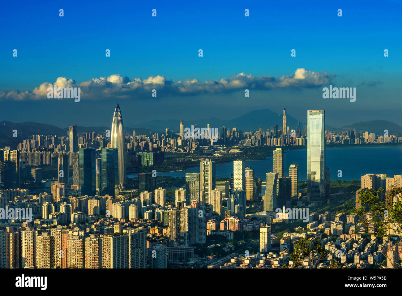--FILE--Cityscape of skyscrapers and high-rise buildings in Shenzhen ...