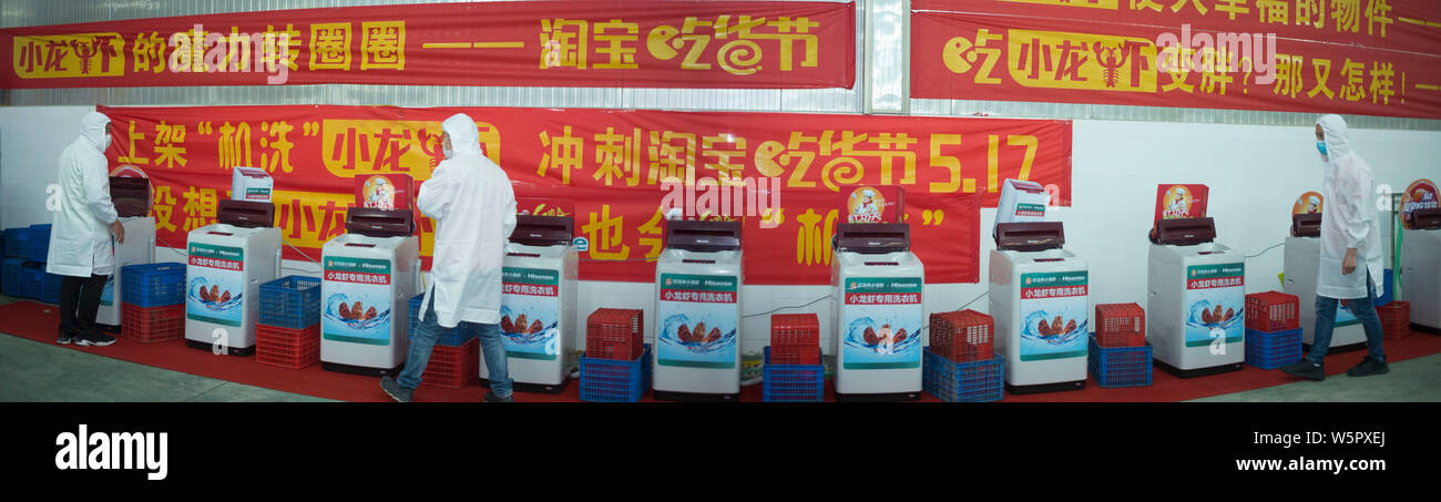 In this undated photo, Chinese workers clean lobsters through using ...