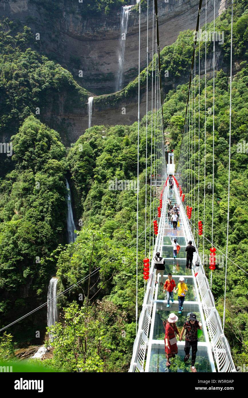 Tourists walk on a 330-meter-long glass-bottomed suspension bridge over ...