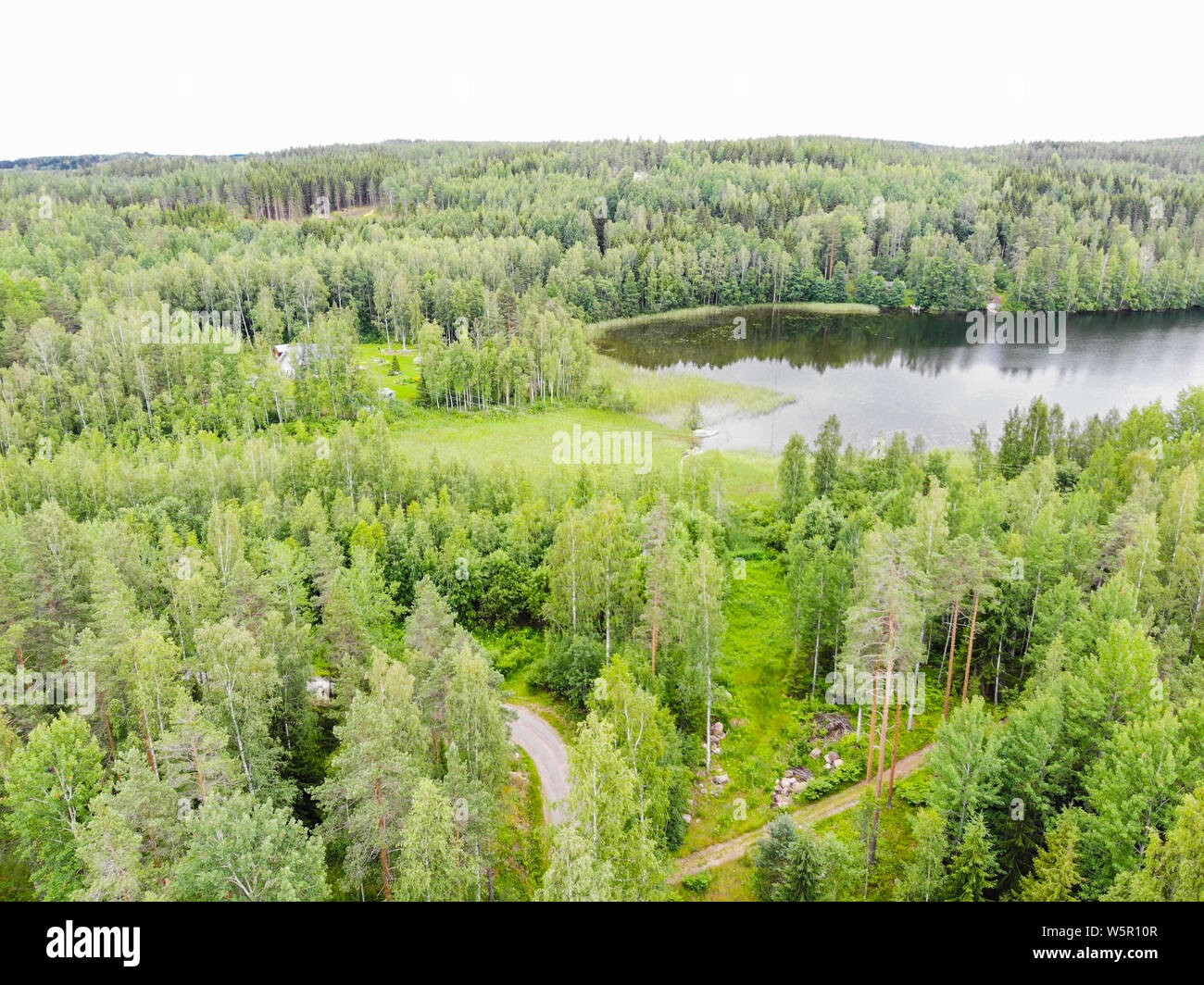 Aerial view of lake and green forest on a summer day in Finland. Drone ...