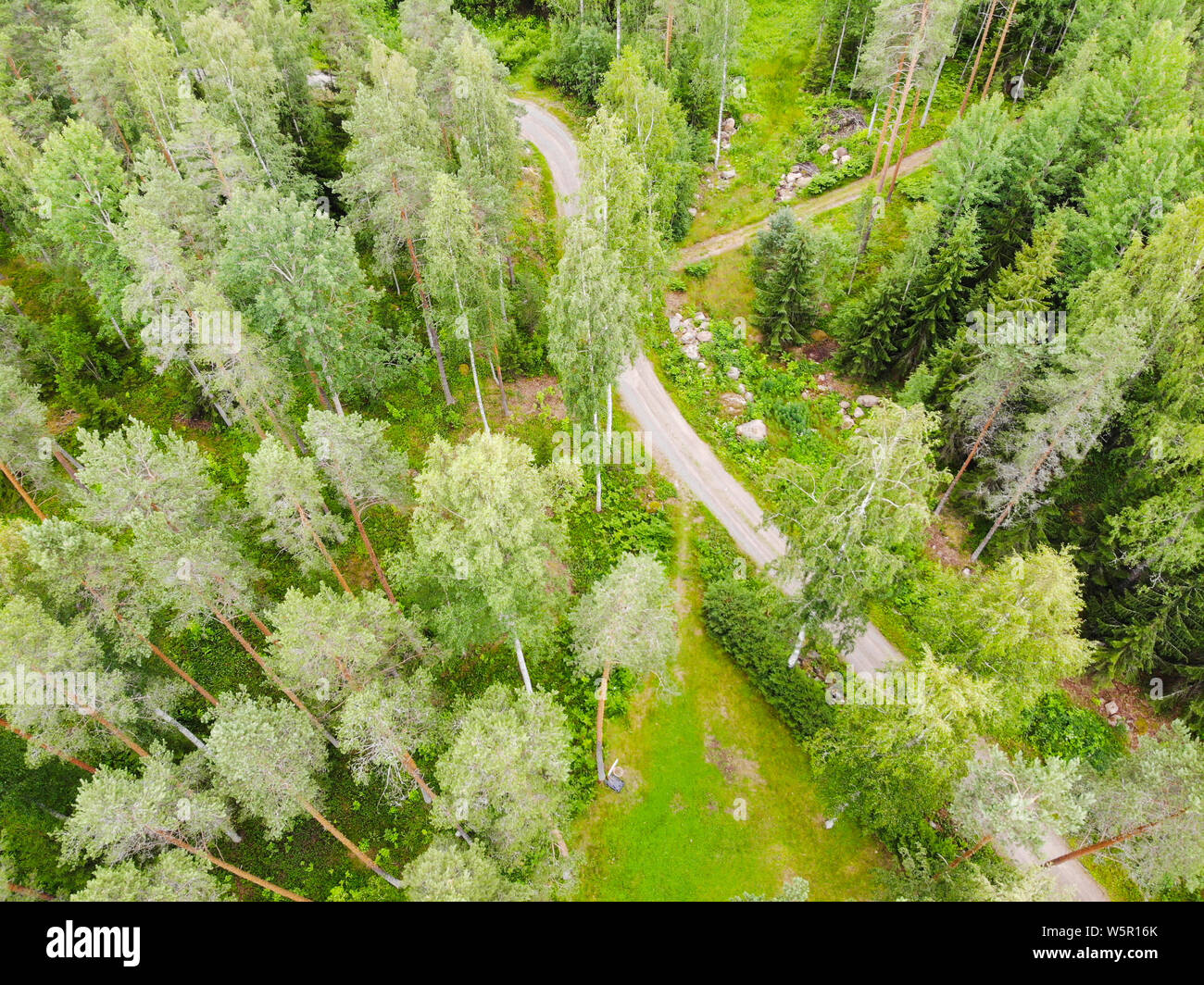 Aerial view of green forest and road at rural summer in Finland Stock ...