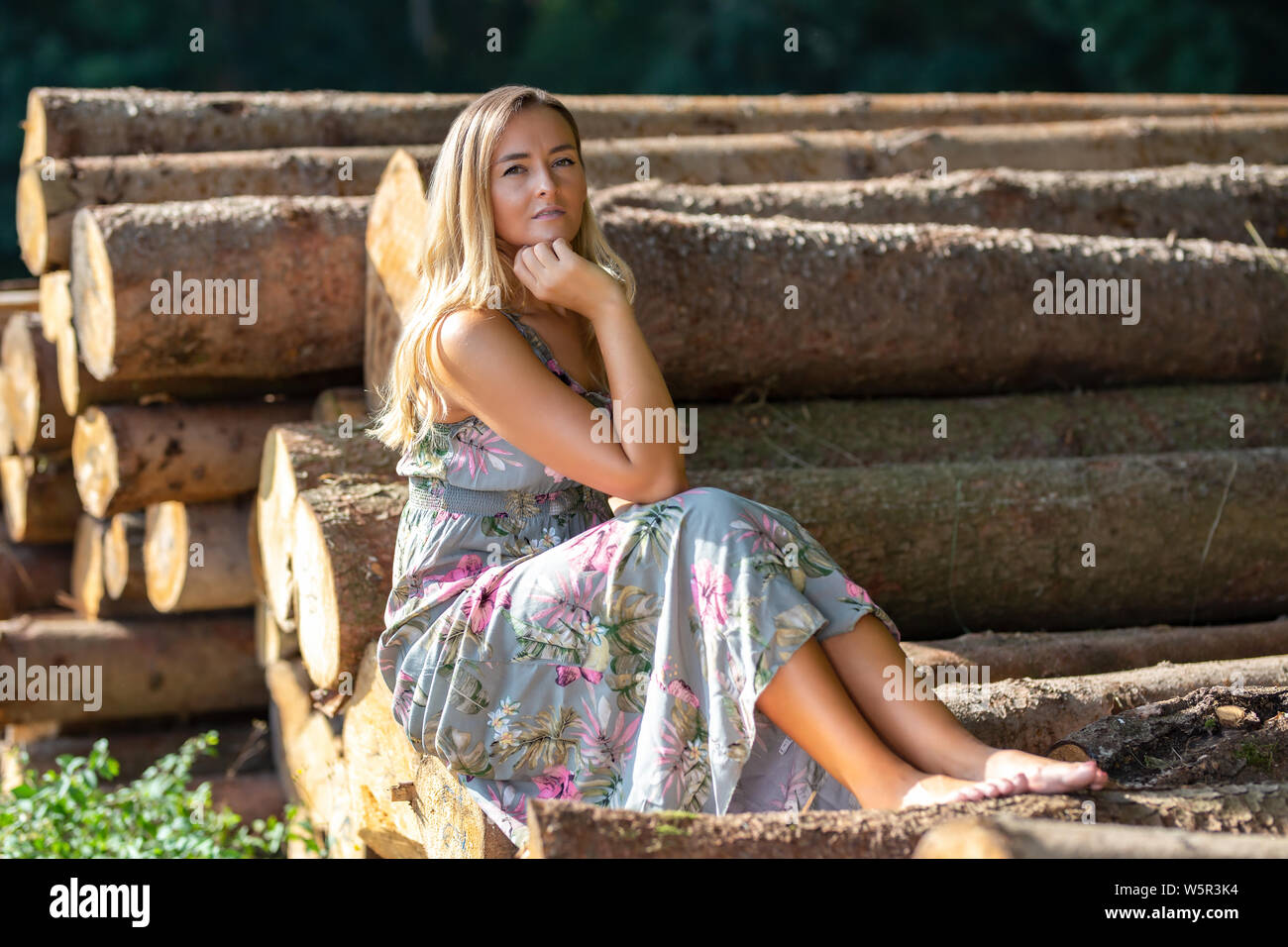 Portrait of a girl sitting on logs Stock Photo - Alamy