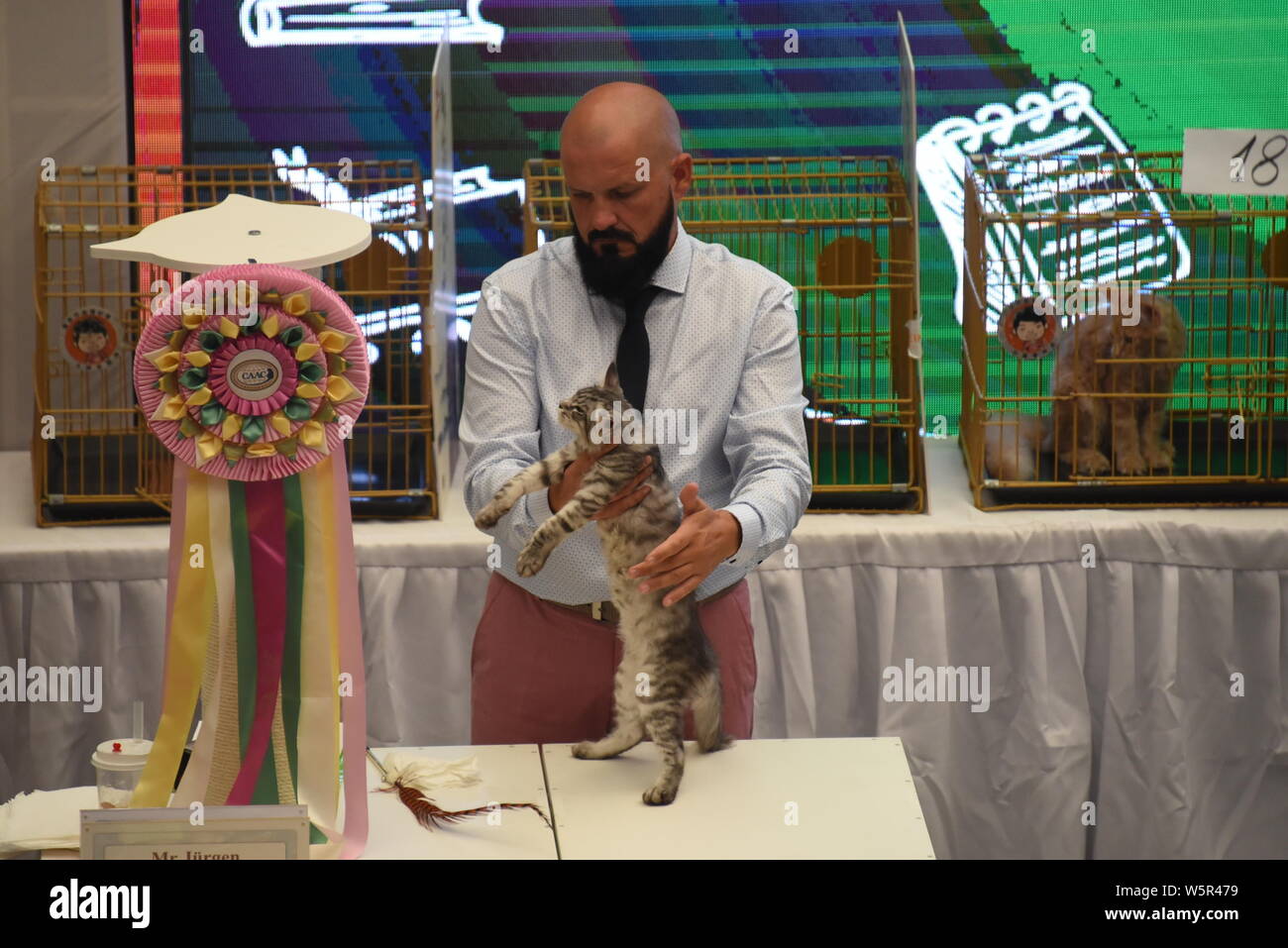 Henan, china. 30th July, 2019. A world-class cat contest was held in ...