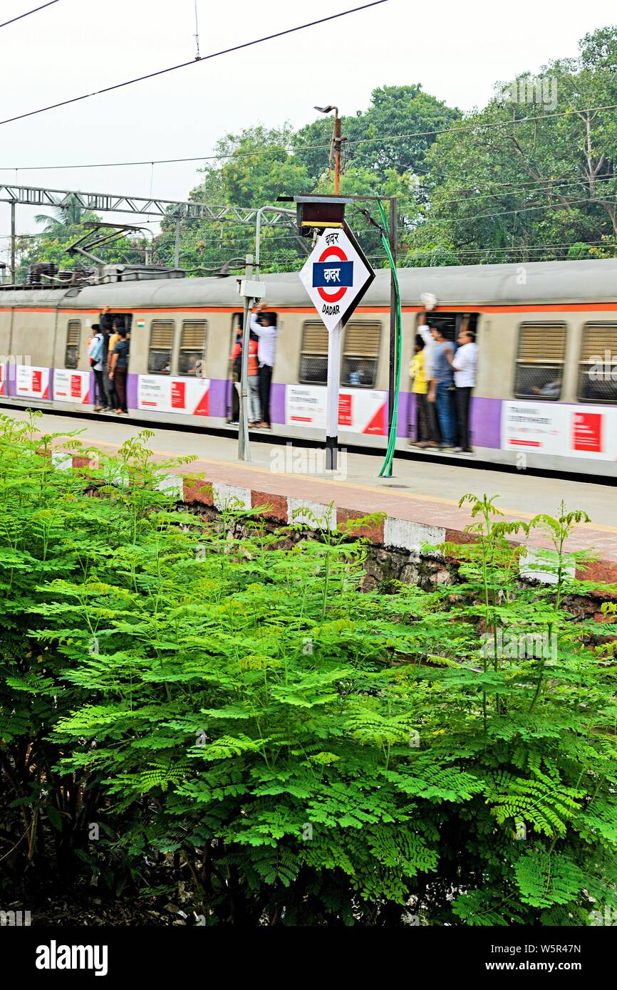 Dadar Railway Station Mumbai Maharashtra India Asia Stock Photo - Alamy
