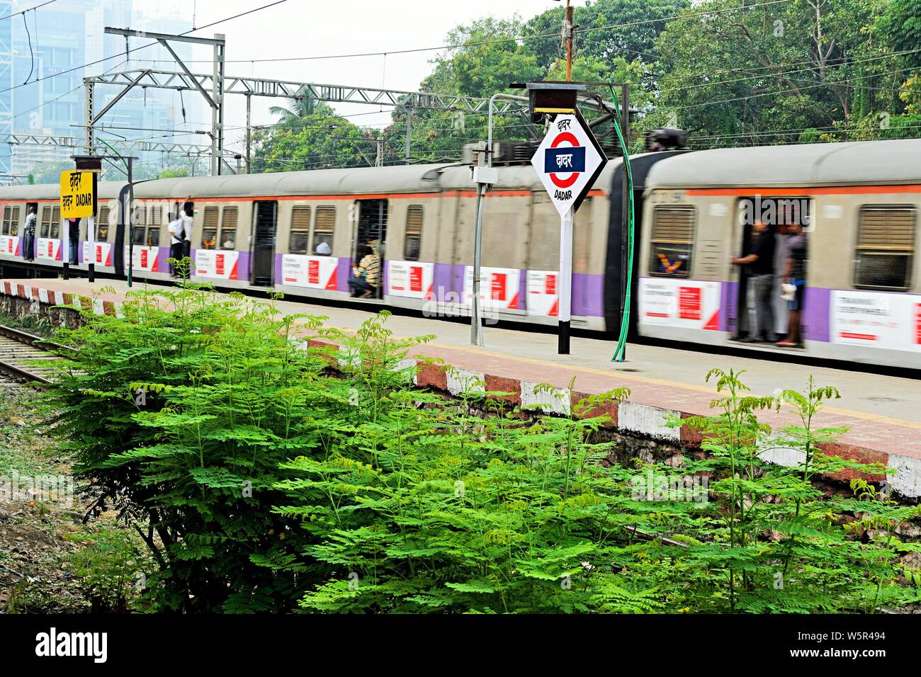 Dadar Railway Station Mumbai Maharashtra India Asia Stock Photo - Alamy