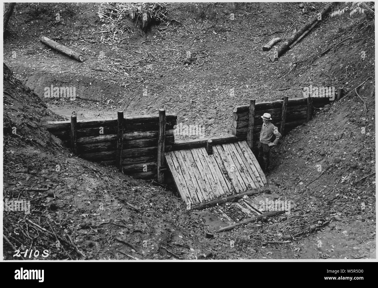 Log dam in a gully Stock Photo - Alamy