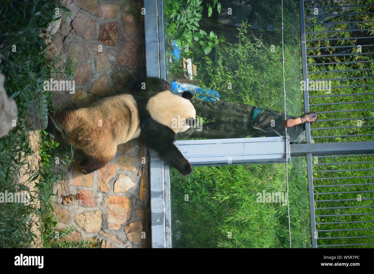 Meng lan hi-res stock photography and images - Alamy