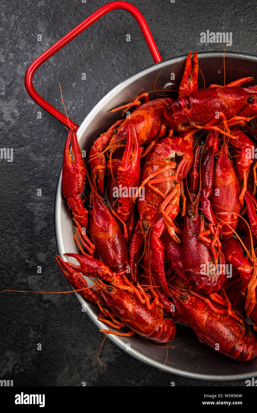 Red Crayfish in MEtal Saucepan, Top View on Dark Background Stock Photo ...