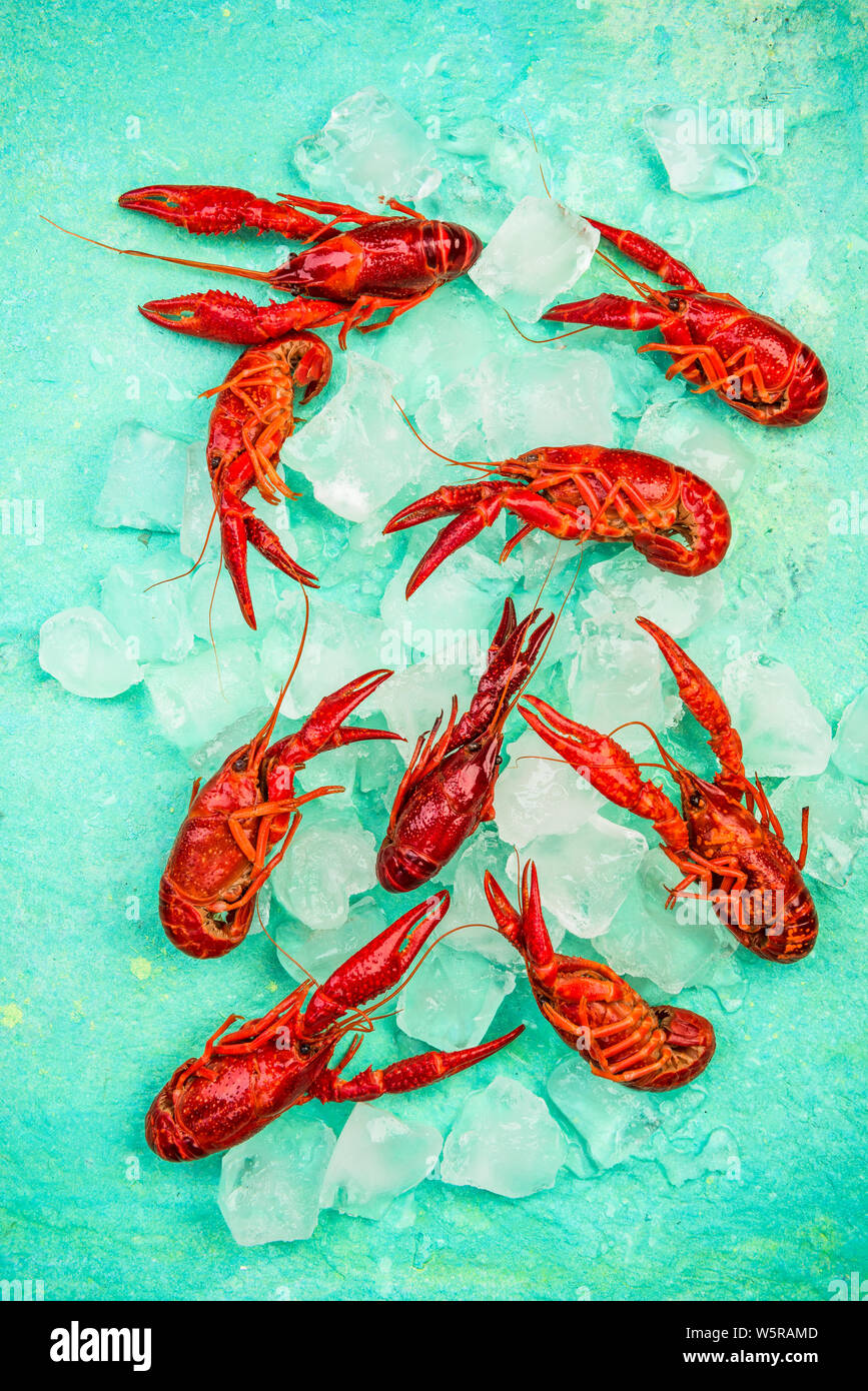 Red Crayfish or Lobster, Fresh on Ice Cubes, Top View. Healthy Food ...