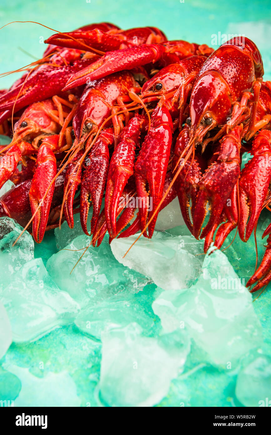 Red Crayfish or Lobster, Fresh on Ice Cubes, Top View. Healthy Food ...