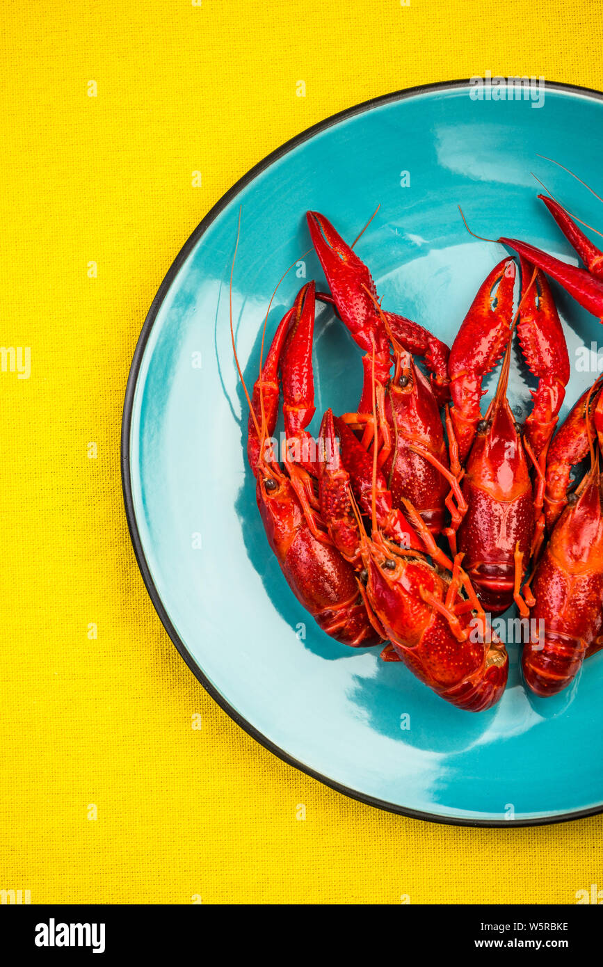 Lobster top view hi-res stock photography and images - Alamy