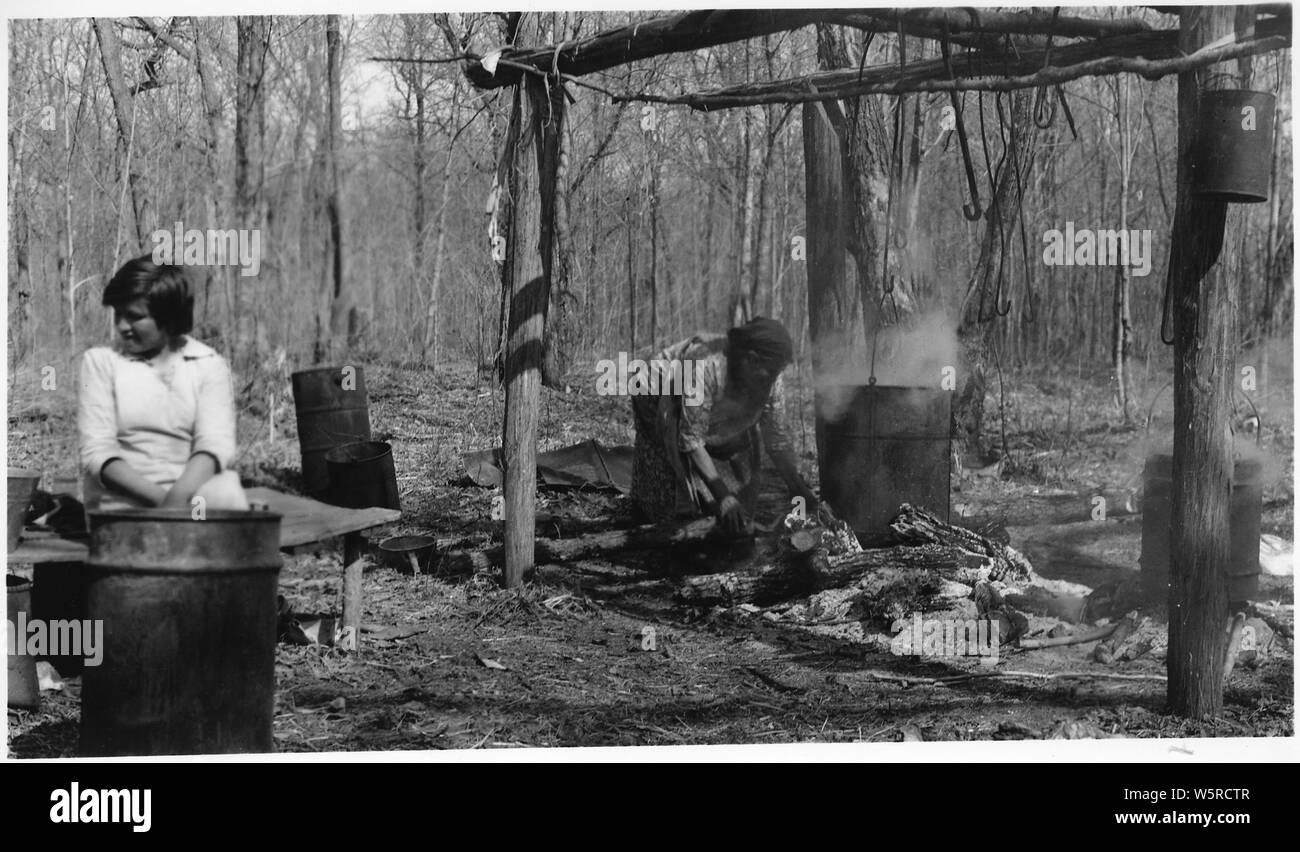 Maple sugar industry; Scope and content: Showing tent (tipi), birch ...