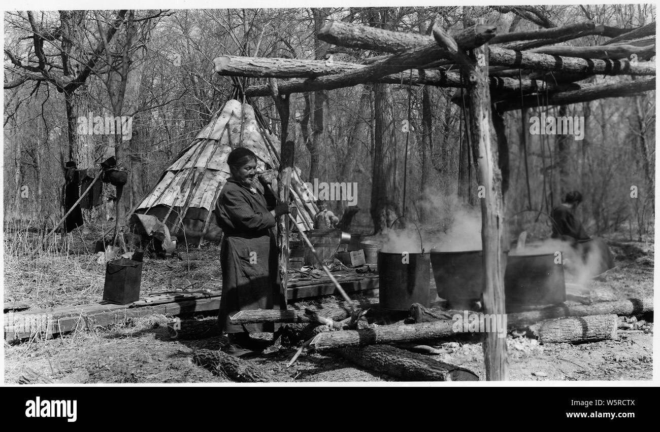 Maple sugar industry; Scope and content: Showing tent (tipi), birch ...