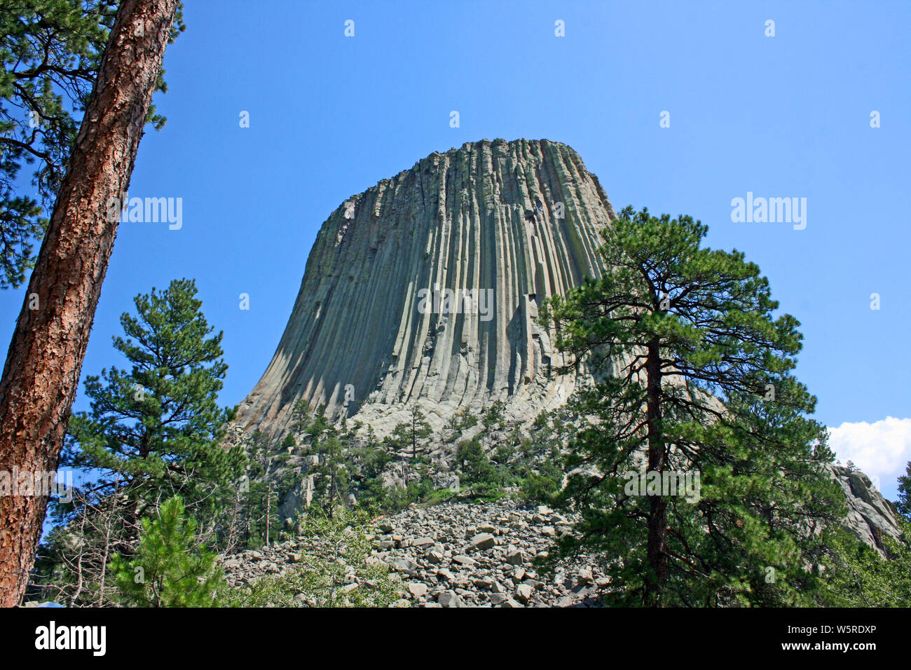 Devil's Tower between trees, Wyoming Stock Photo - Alamy
