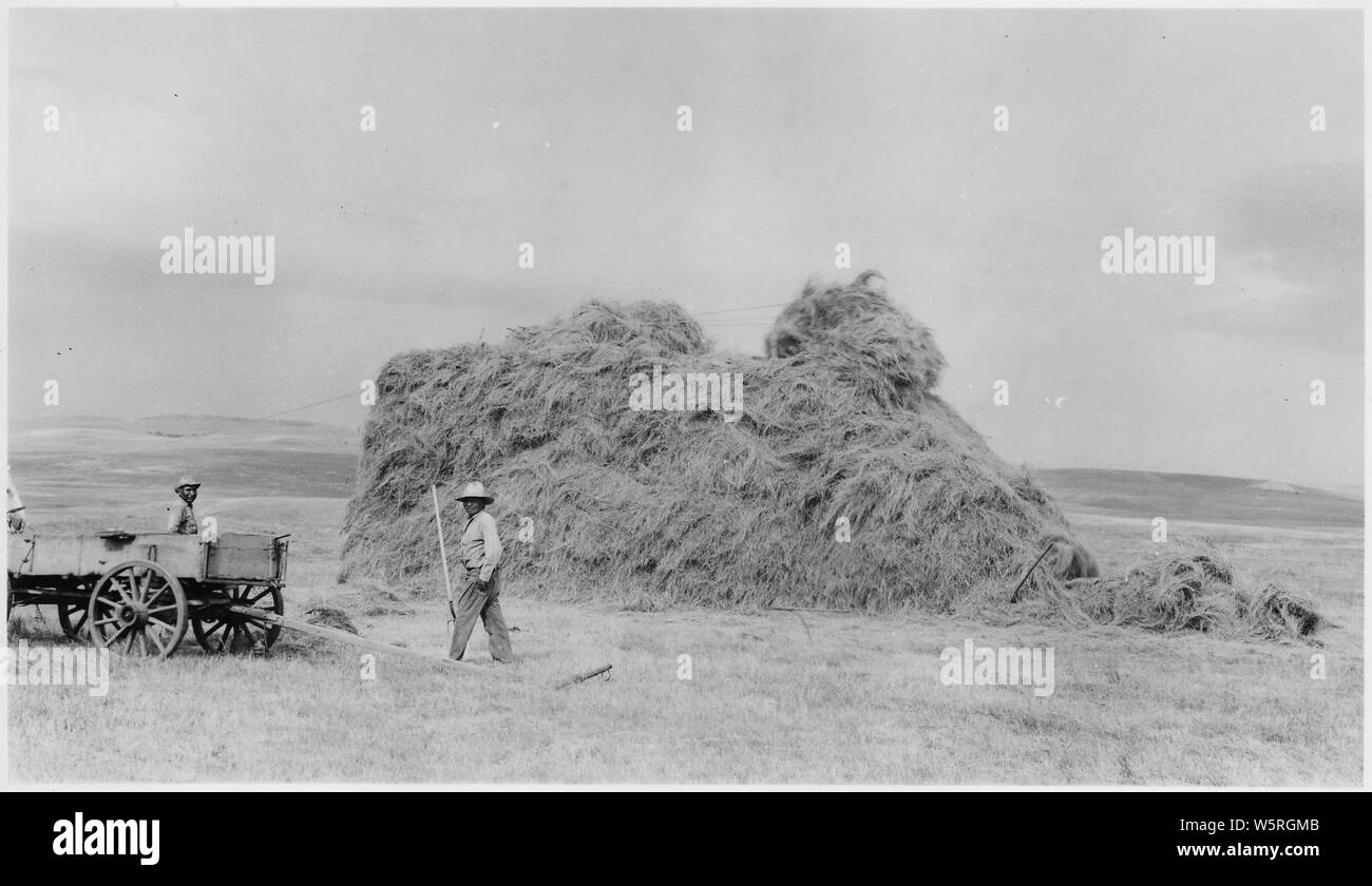 Men and wagon work near a tall haystack Stock Photo - Alamy