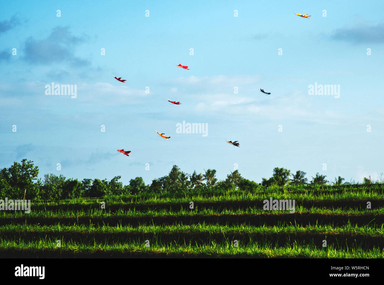 Kite flying festival indonesia hi-res stock photography and images - Alamy