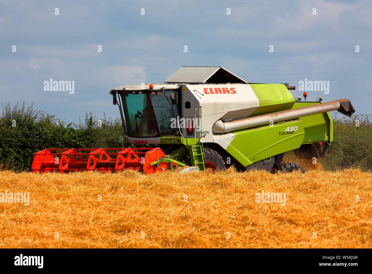 A very large combine harvester working its way around a local field ...