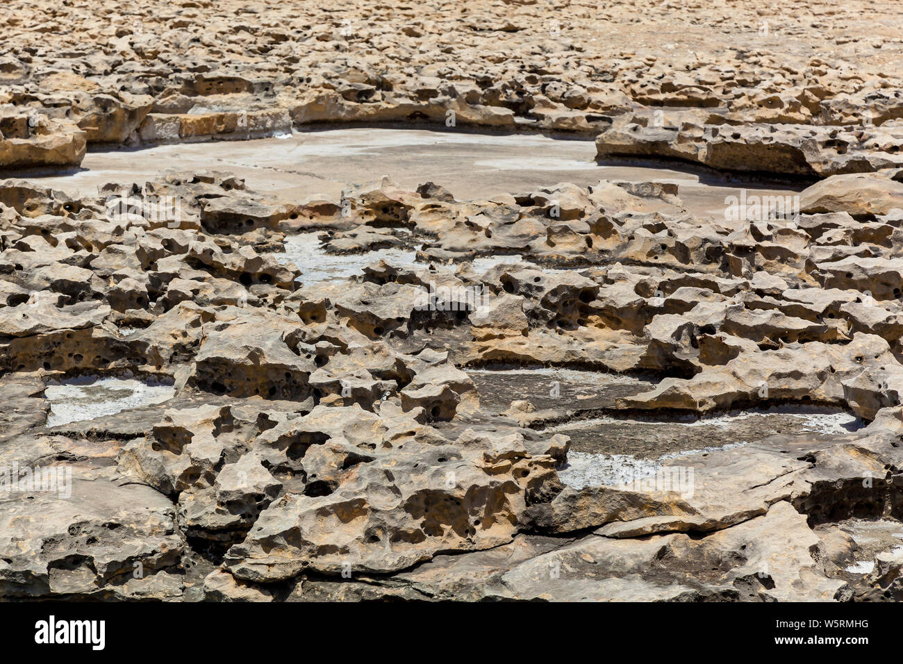 Karst rock formation on the coast of the island of Gozo Malta Stock ...