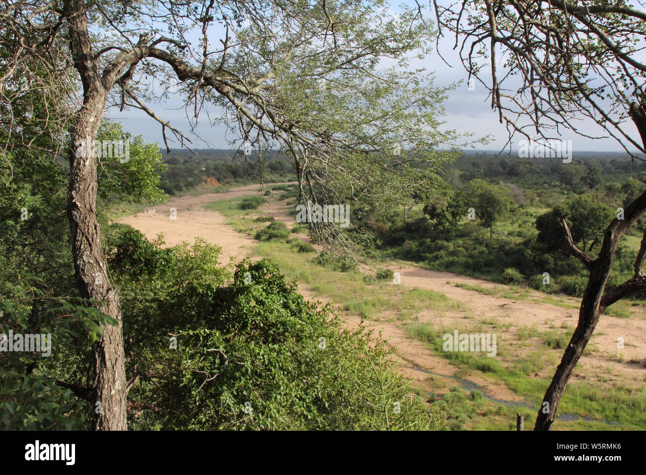 Biyamiti river hi-res stock photography and images - Alamy