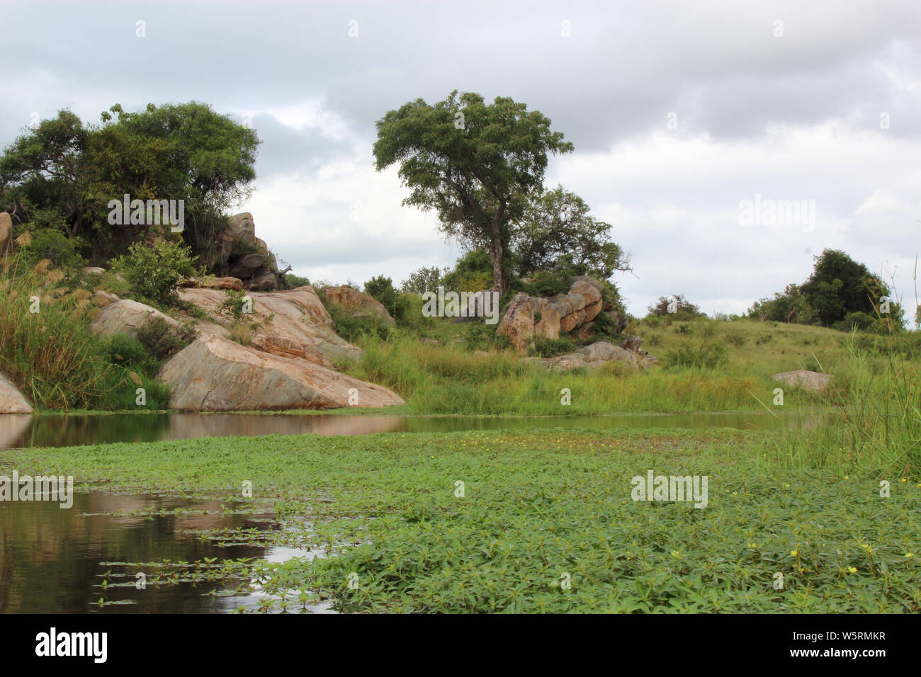 Biyamiti river hi-res stock photography and images - Alamy