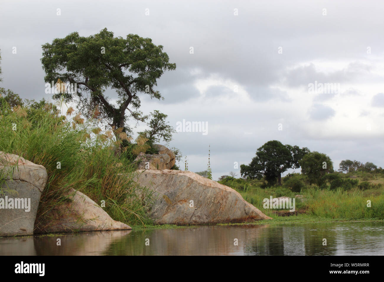 Biyamiti river hi-res stock photography and images - Alamy