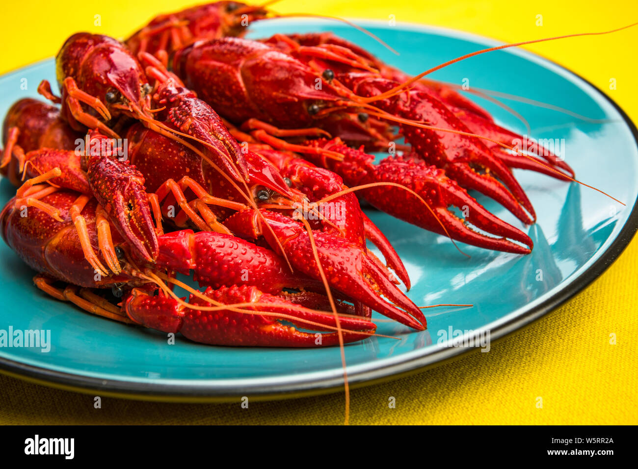 Red Crayfish or Lobster on Plate, CLose up View Stock Photo - Alamy