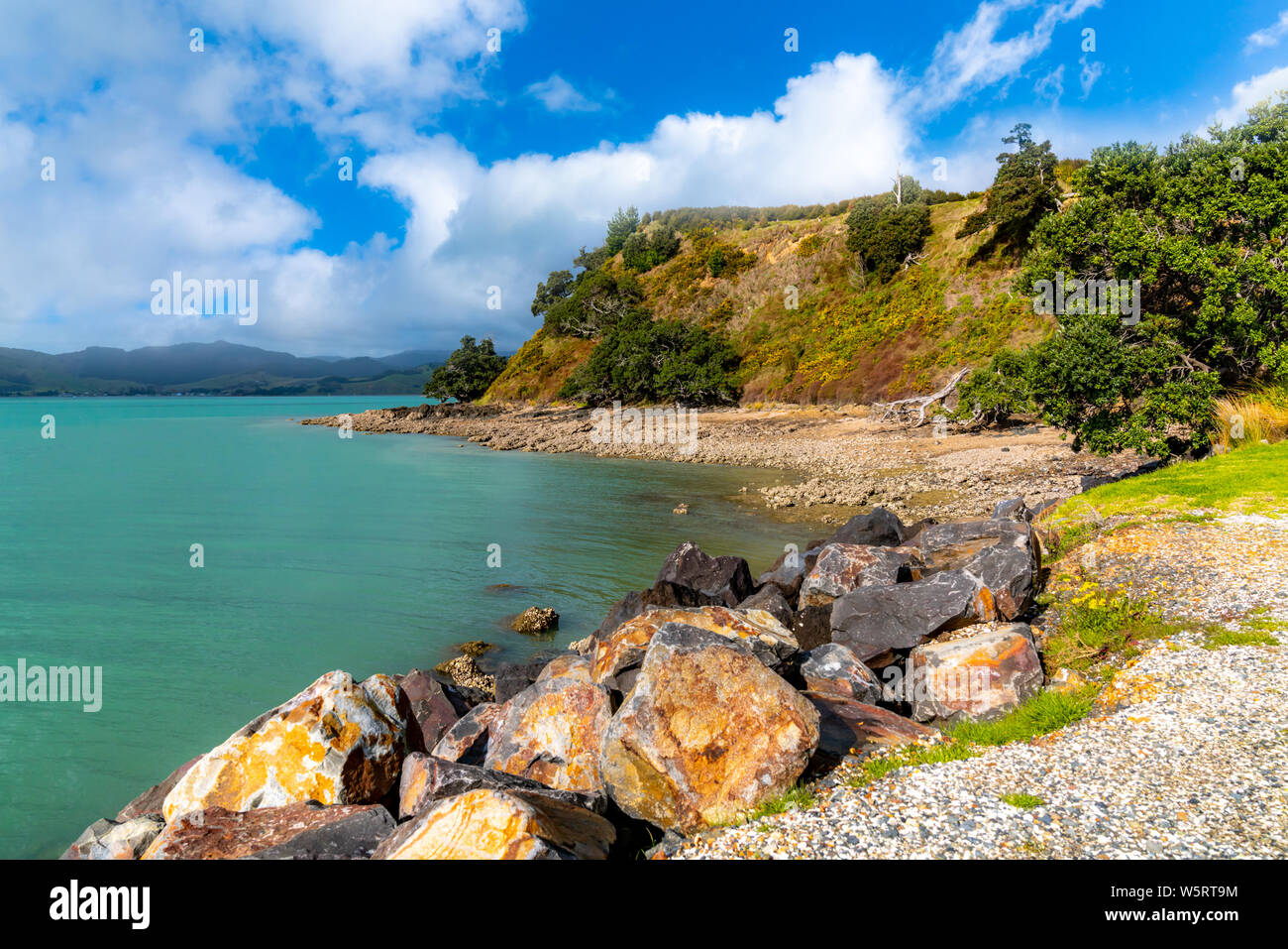 Waitawa Regional Park, New Zealand Stock Photo - Alamy
