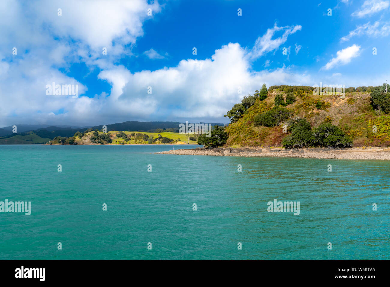 Waitawa regional park hi-res stock photography and images - Alamy