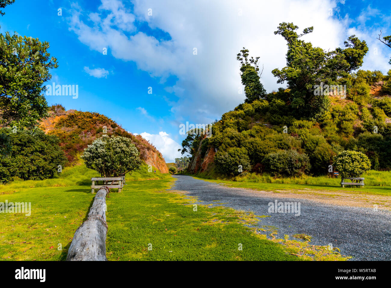 Waitawa Regional Park, New Zealand Stock Photo - Alamy