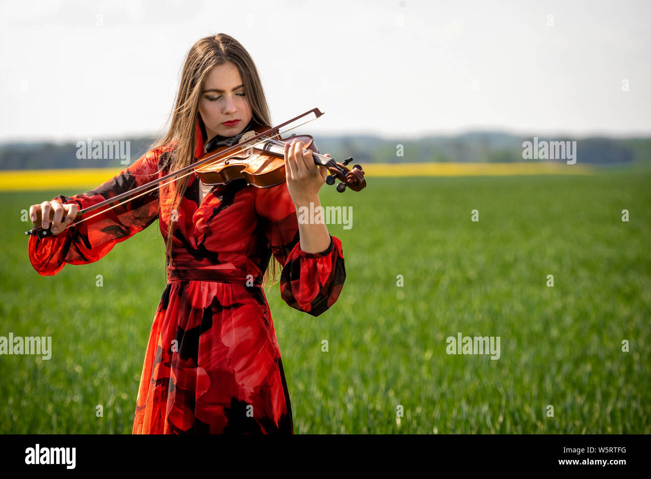 Woman musician in red dress playing the violin hi-res stock photography ...