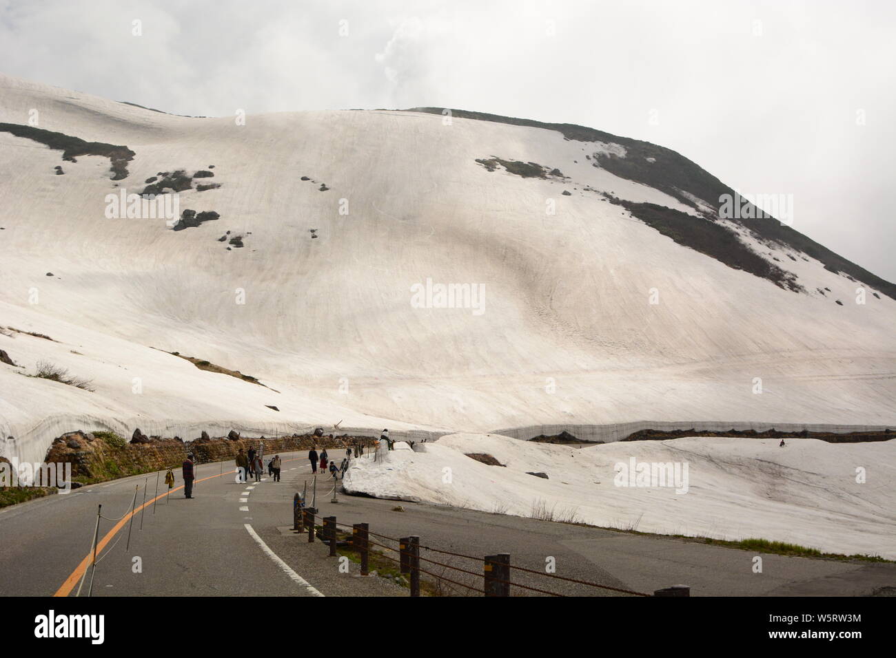 Tourists at Murodo snow wall. Tateyama Kurobe alpine route. Japan Stock ...