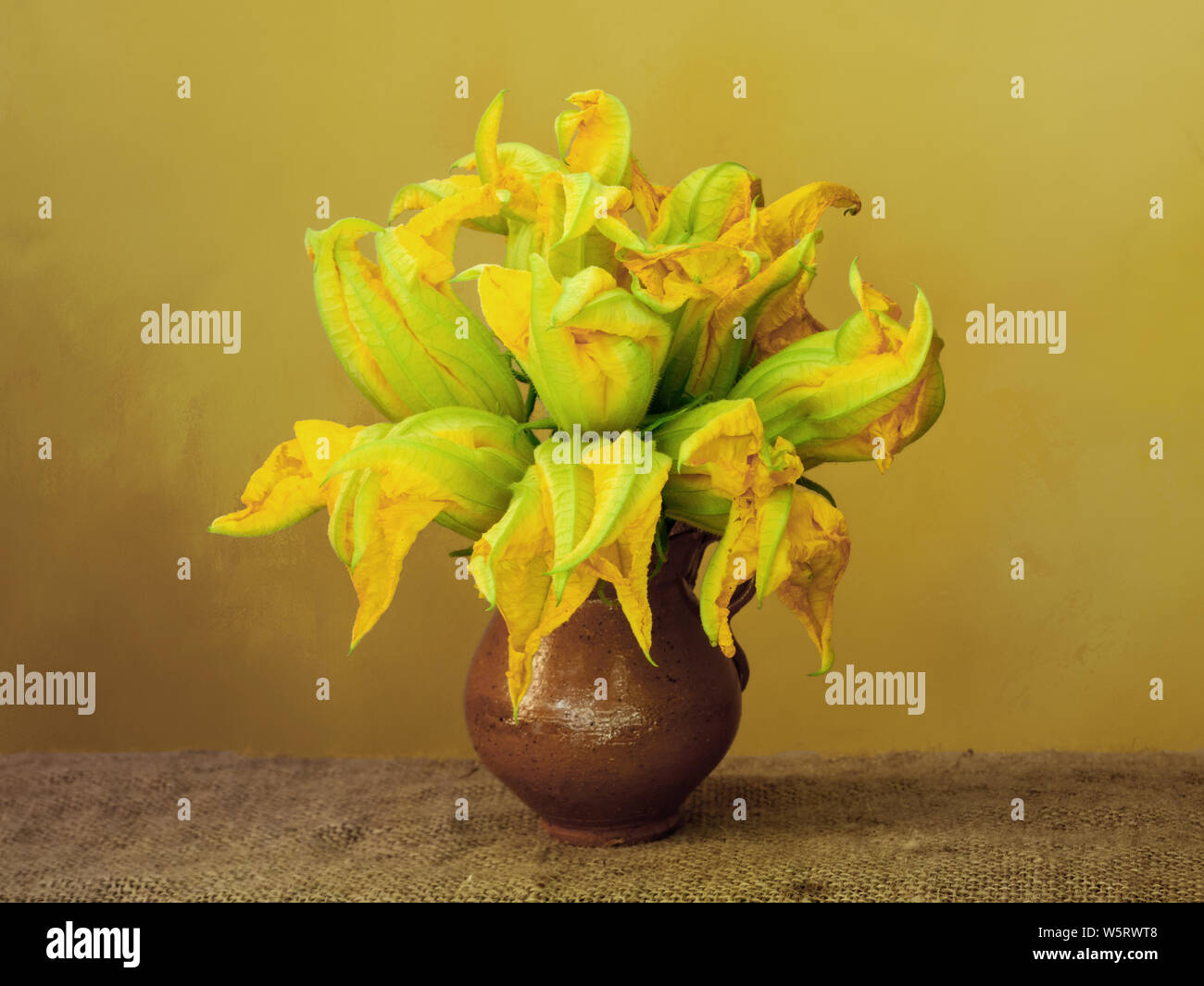 Zucchini flowers in rustic pot. Squash blossom Stock Photo - Alamy