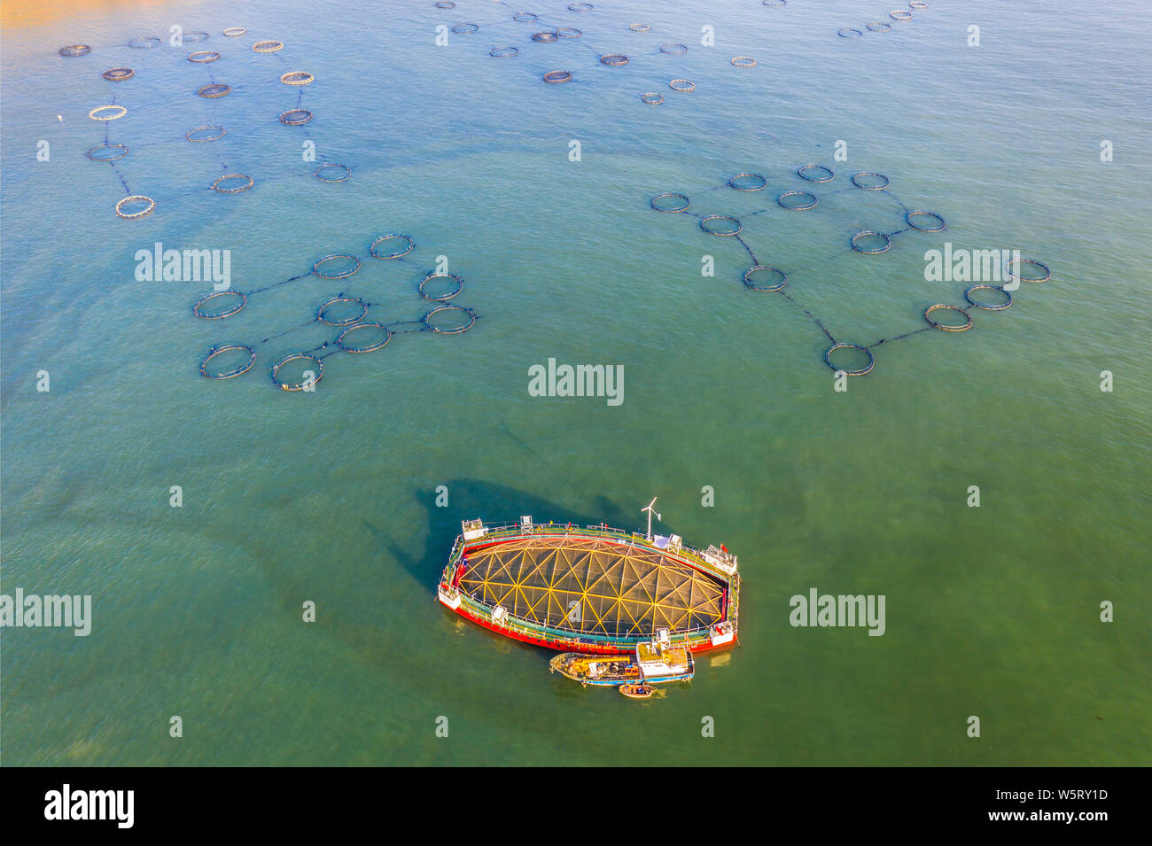 Aerial view of the smart marine aquaculture platform "Zhenyu No.1" put ...