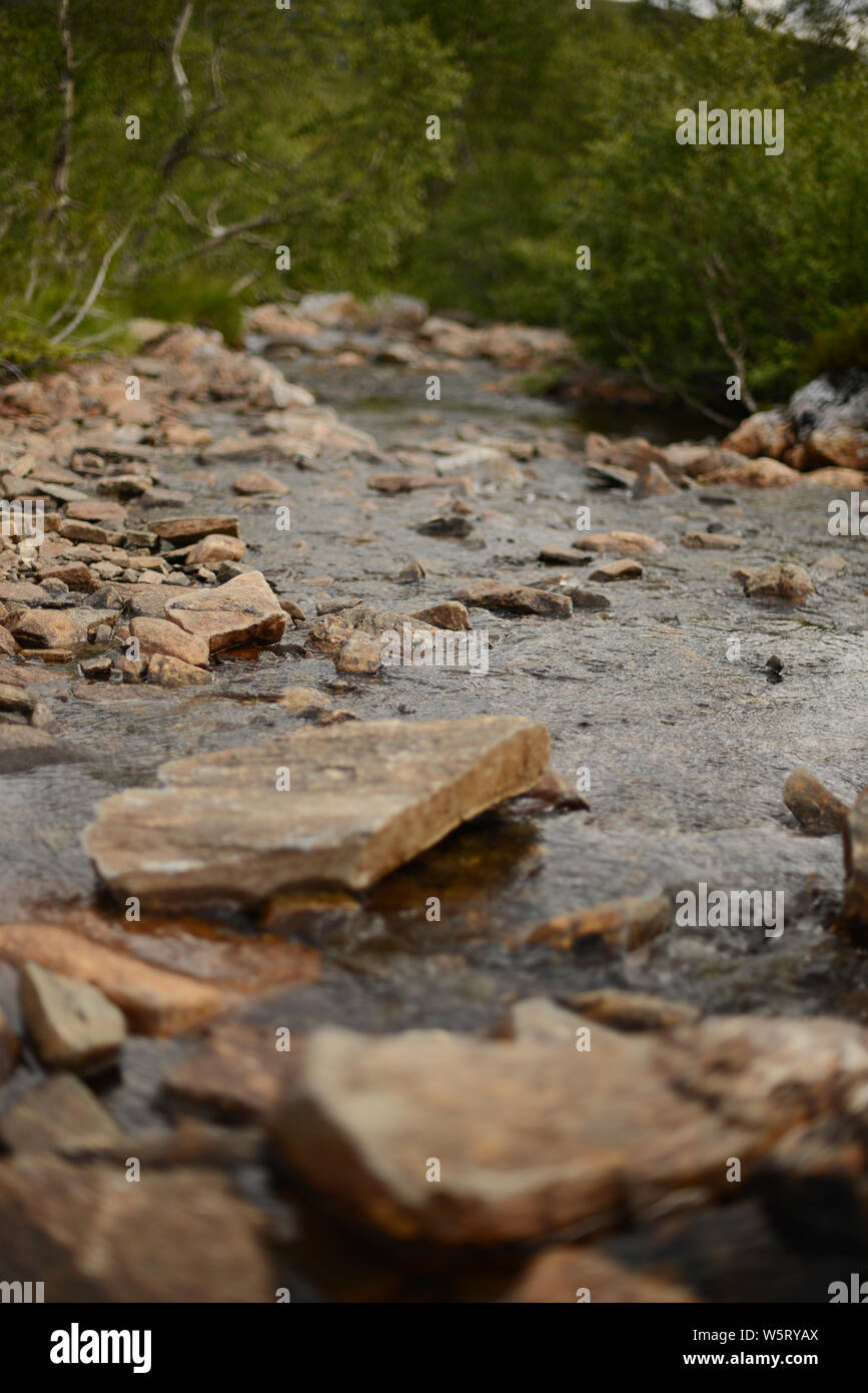 Rocks and branches hi-res stock photography and images - Alamy