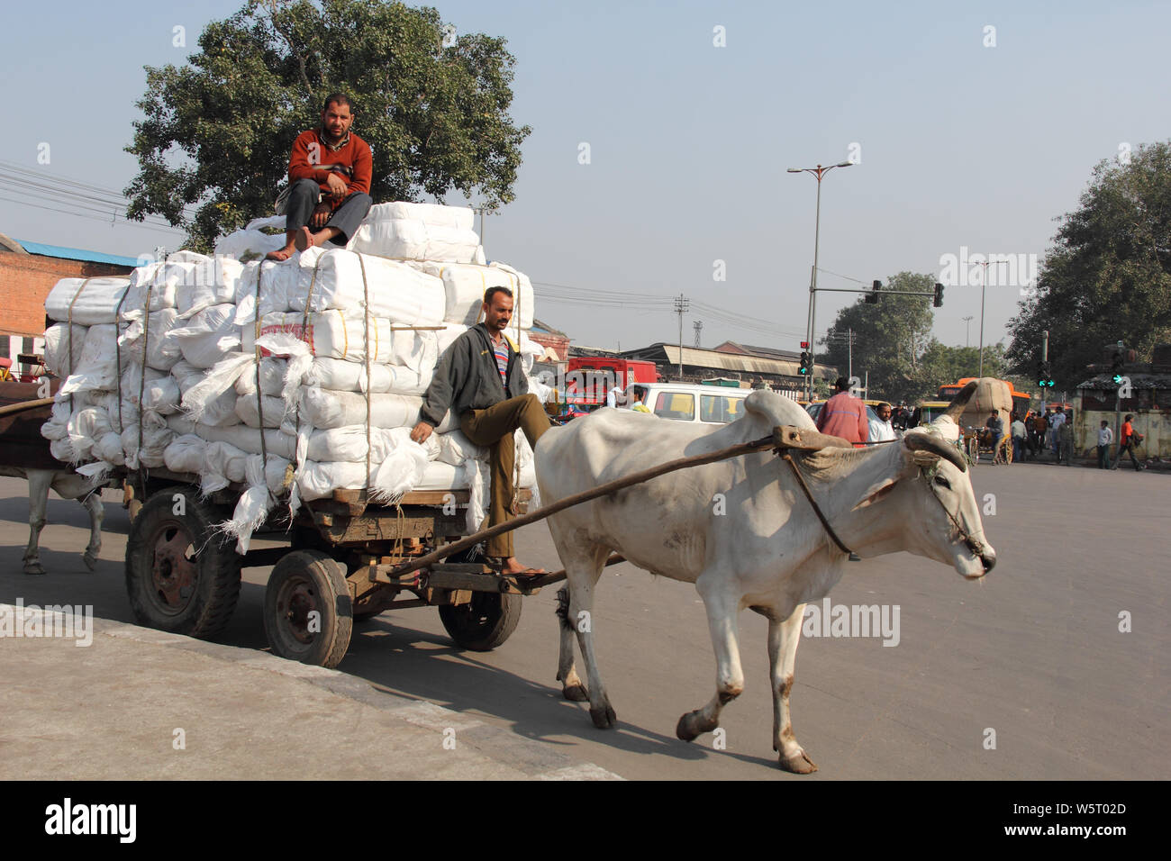 People carrying goods on a bullock cart Stock Photo - Alamy