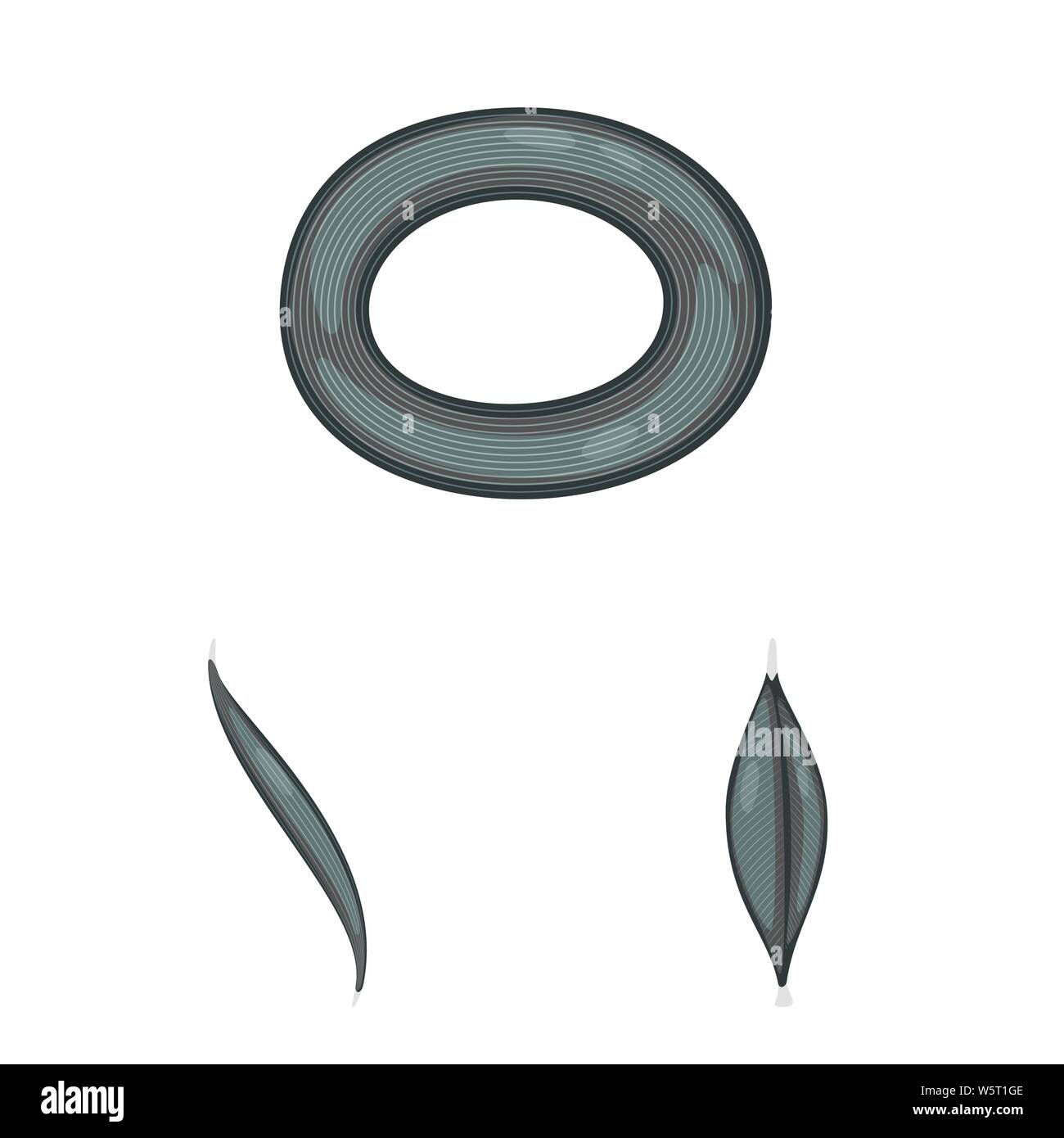 Vector design of human and body symbol. Collection of human and cells ...