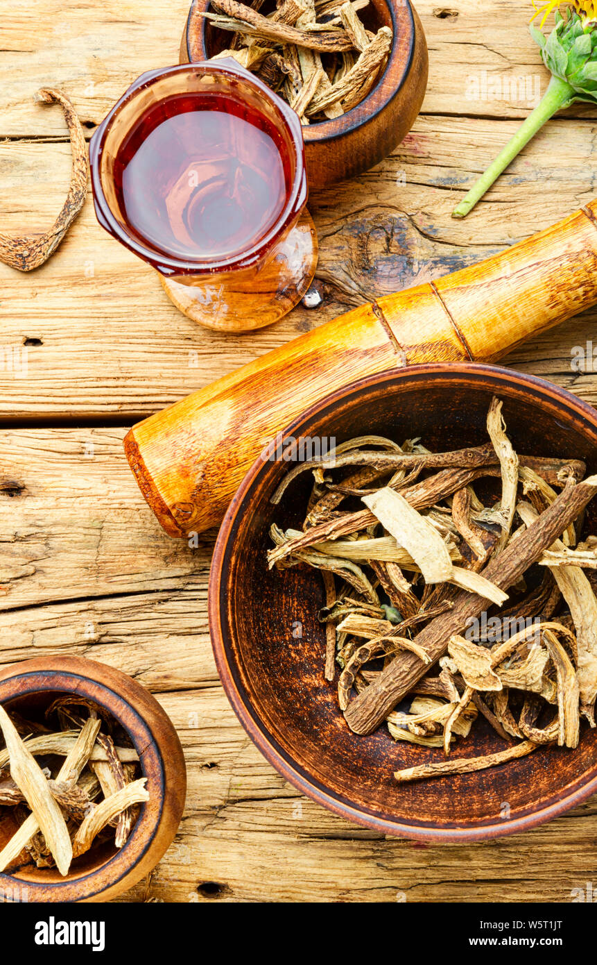 Roots and rhizomes of elecampane.Medicinal plant inula.Preparation of ...