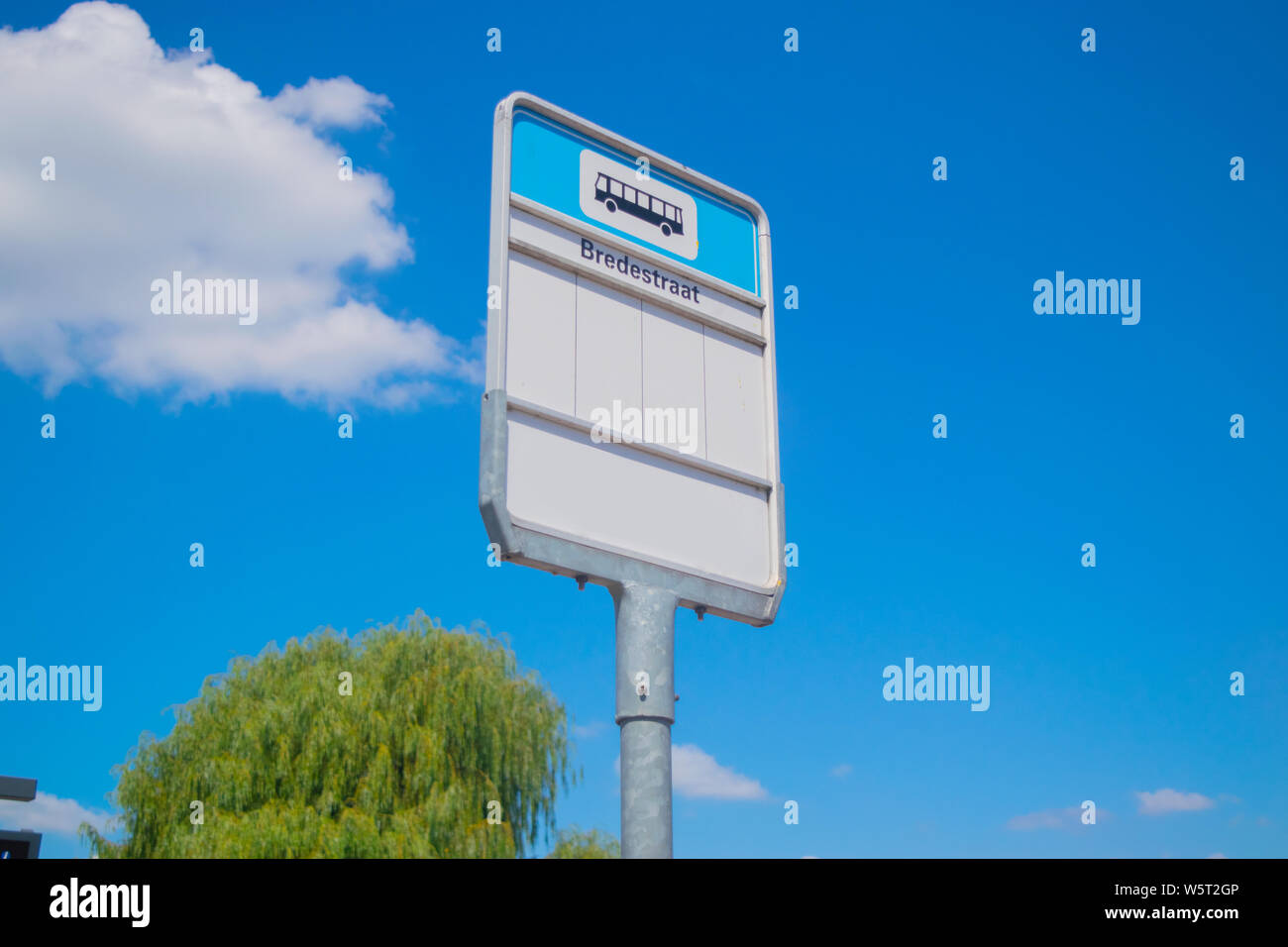 Empty typical Dutch Bus stop sign, Dutch bus sign in the Netherlands ...