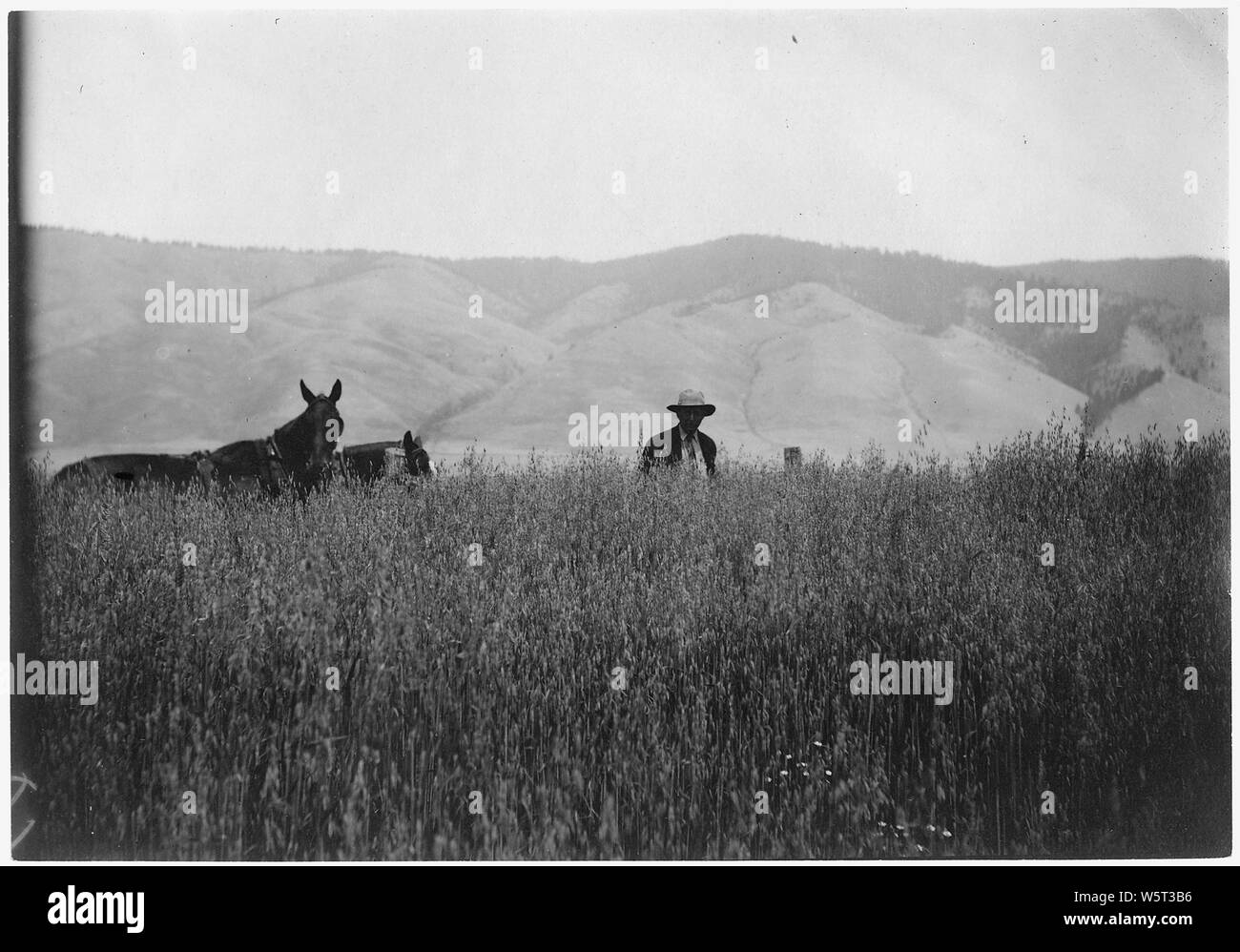 Flathead reservation division hi-res stock photography and images - Alamy