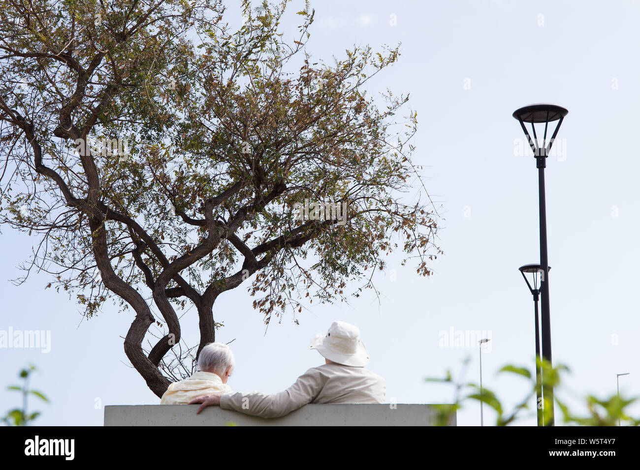 Elderly woman sitting rear view bench hi-res stock photography and ...