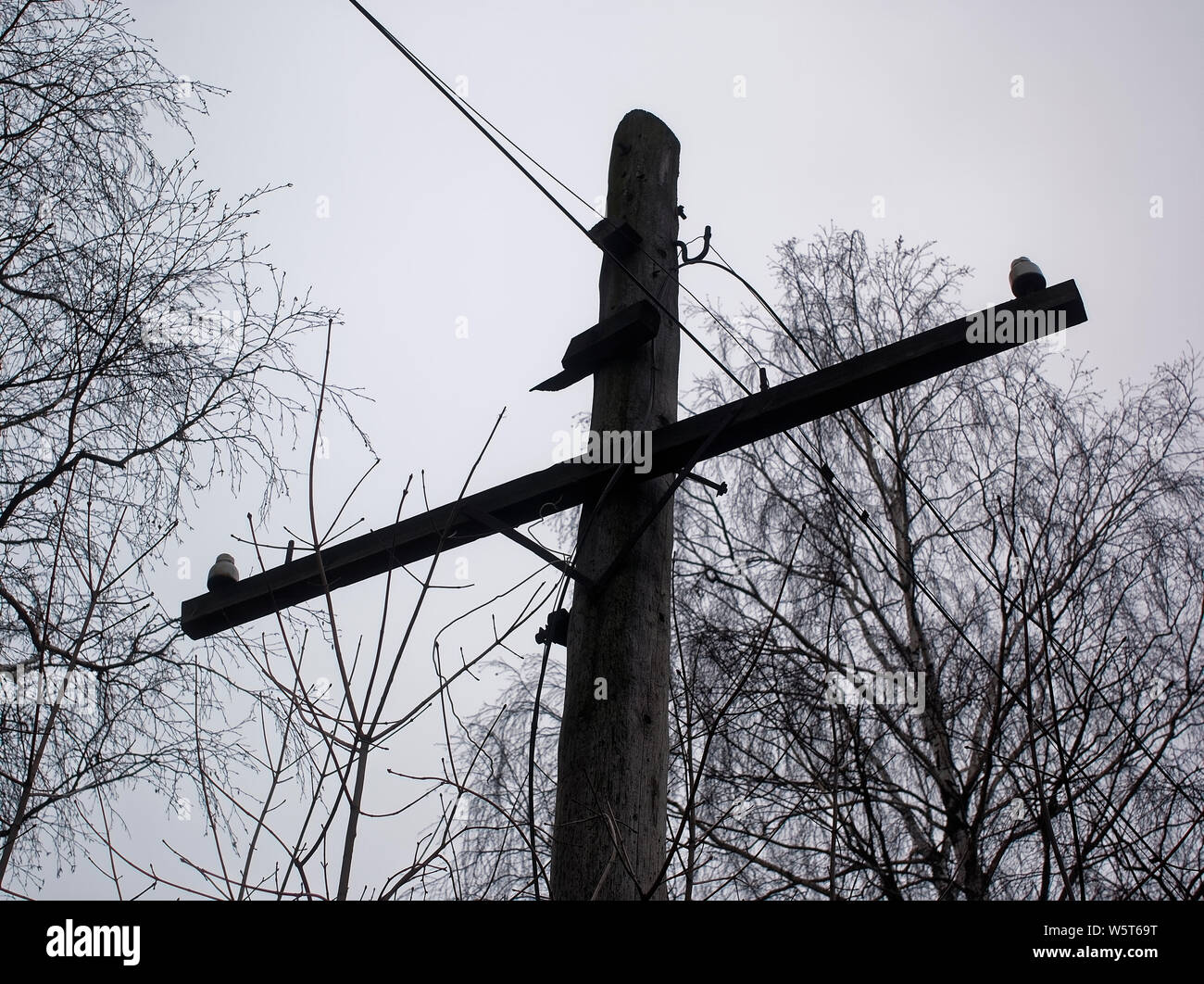 Wooden electric pole hi-res stock photography and images - Alamy