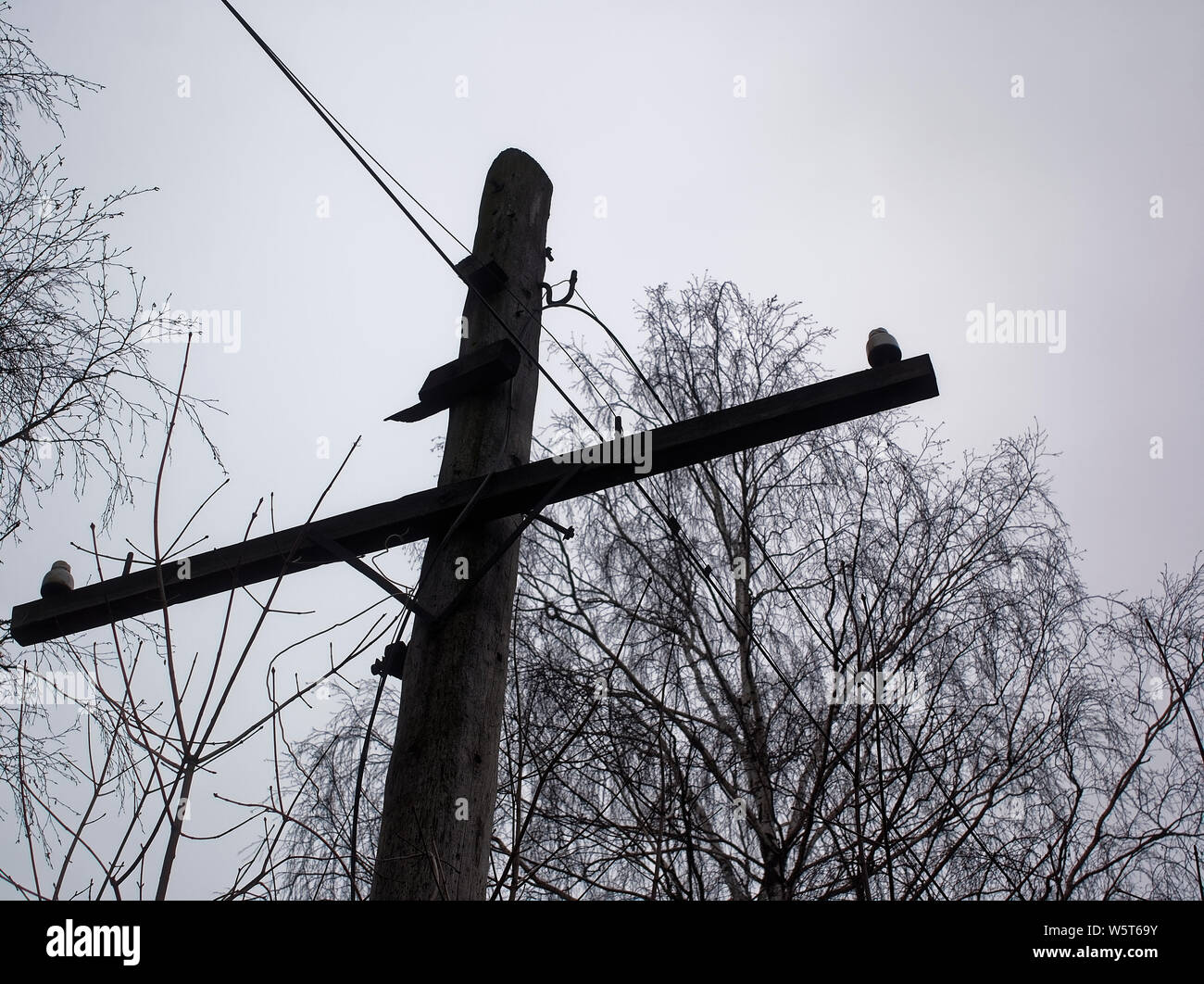 Wooden electric pole hi-res stock photography and images - Alamy