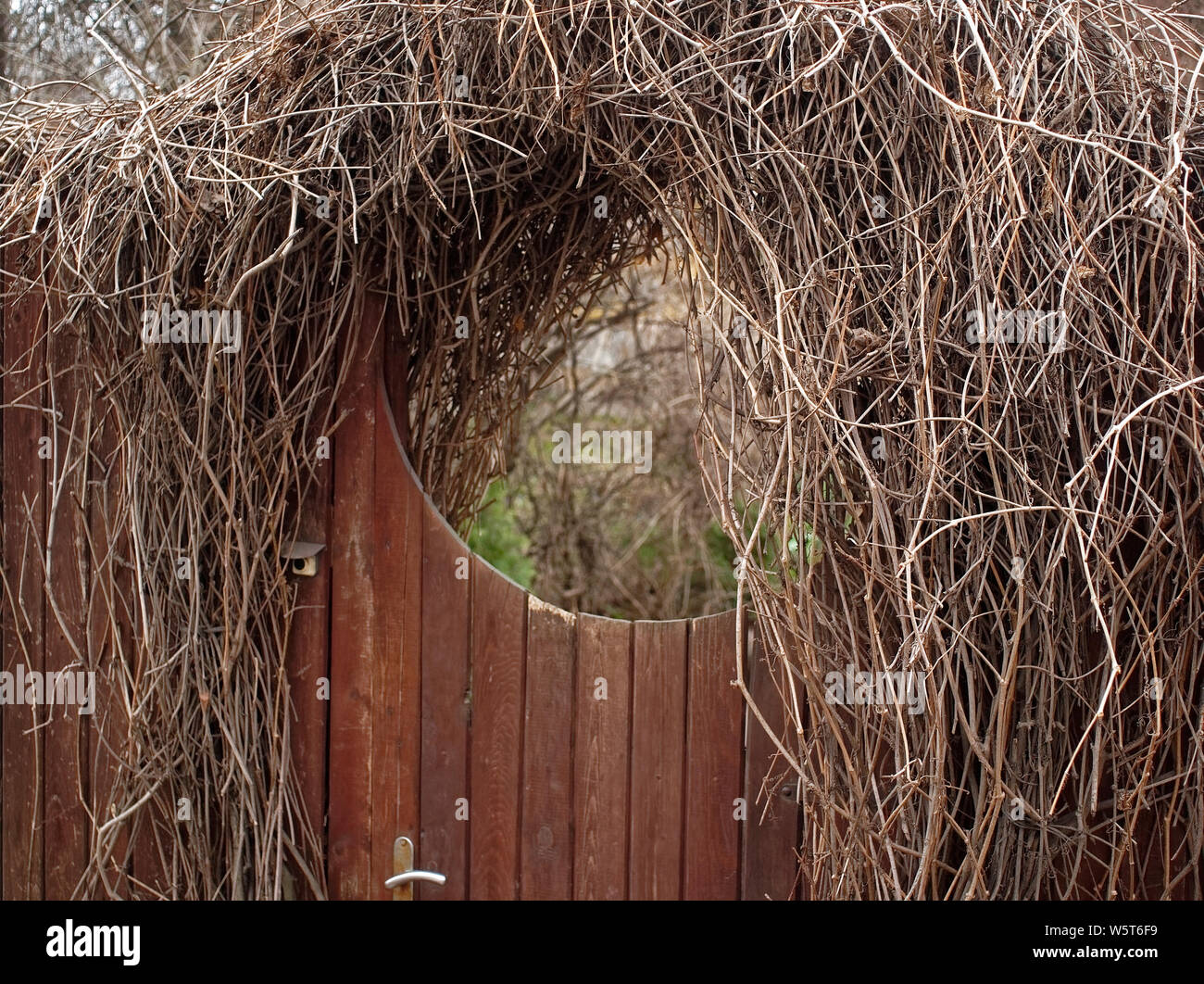 gate with a window in the fence, Russia Stock Photo - Alamy